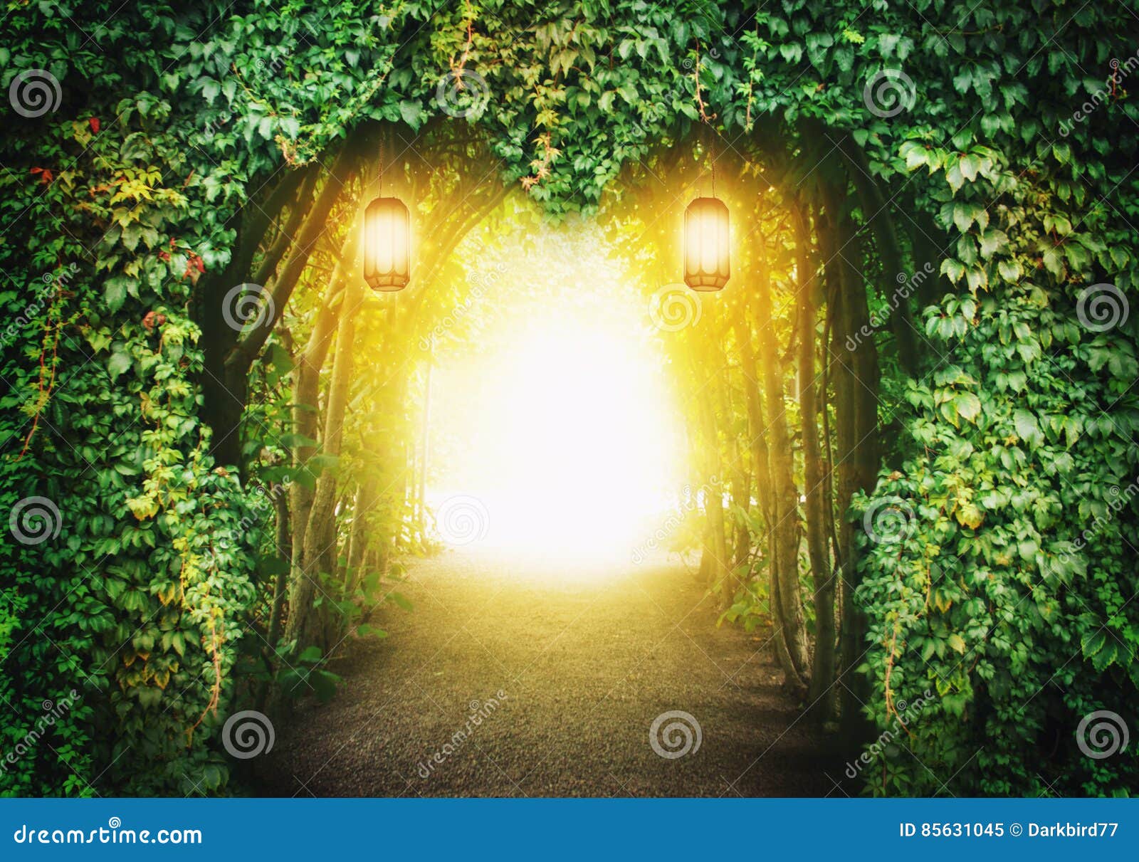 Heart Road in a Fantasy Forest Stock Image - Image of dream, forest ...