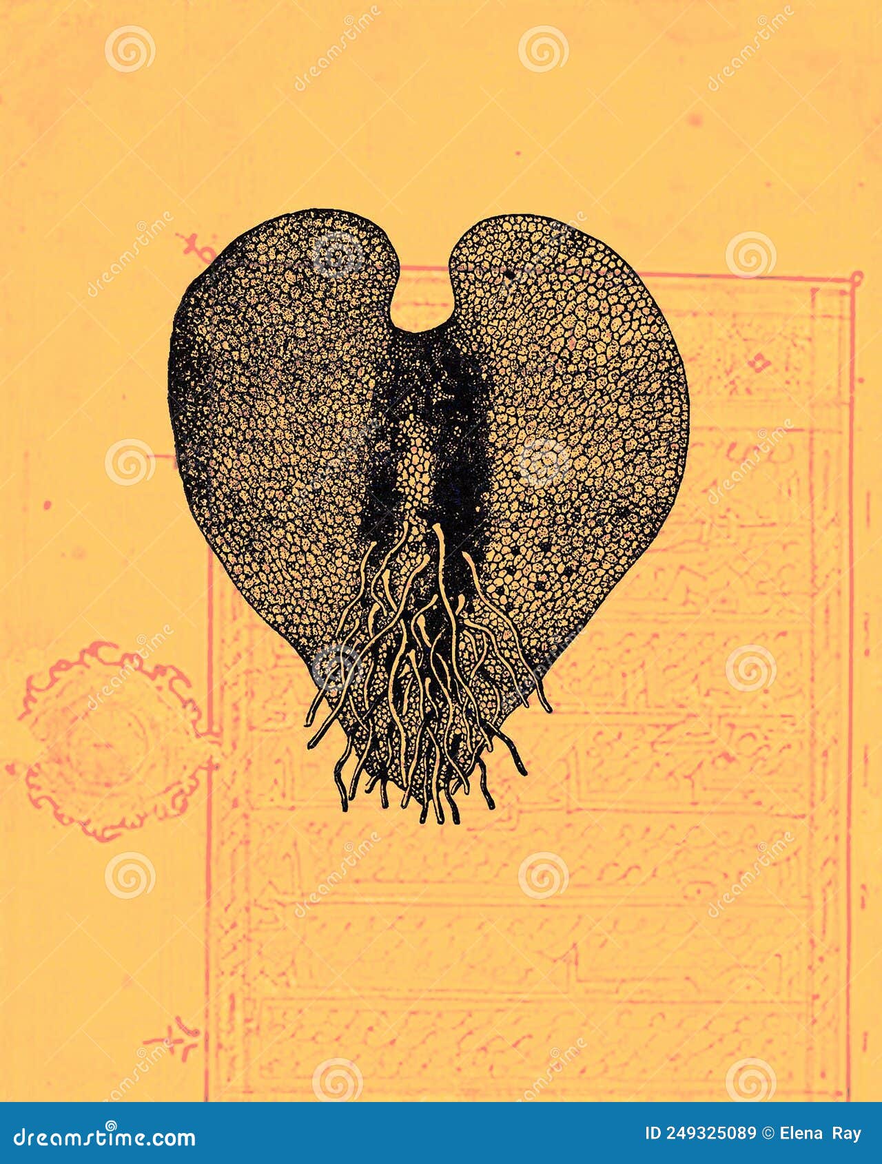 Feeling the Heart Root stock illustration. Illustration of secrets ...