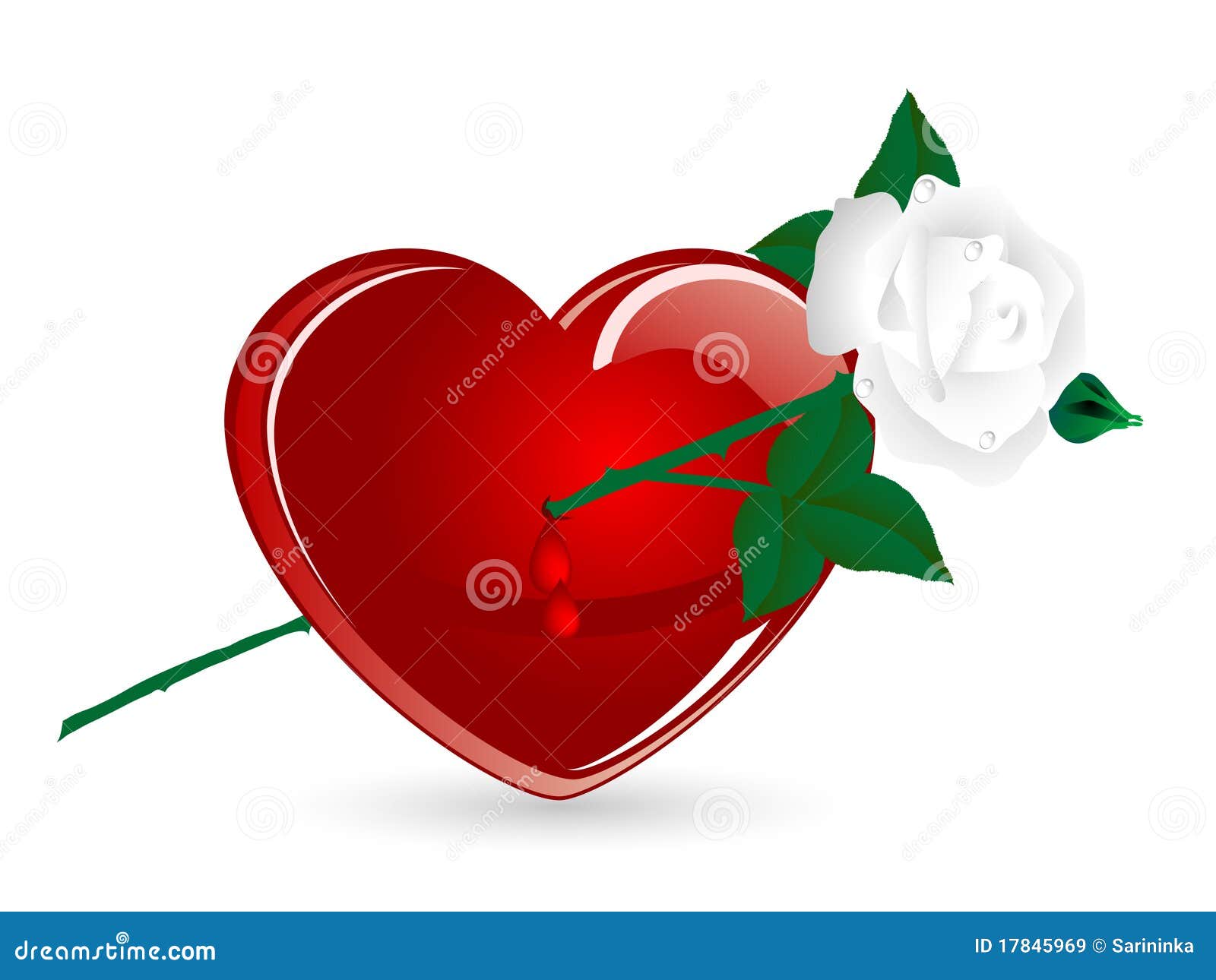 Heart and rose stock vector. Illustration of flower, teardrop - 17845969