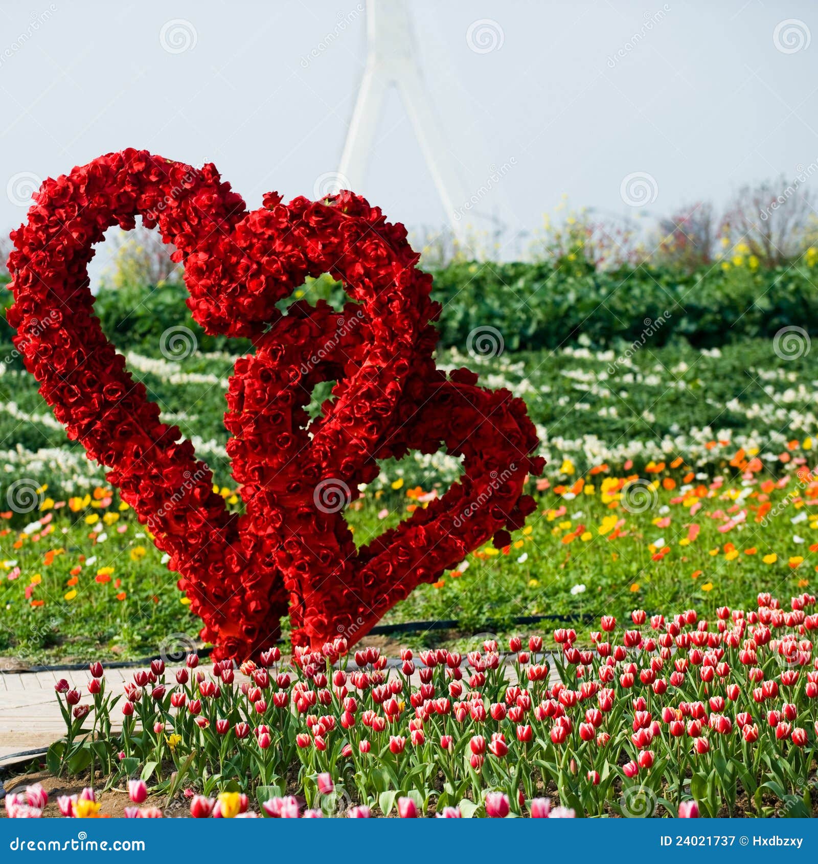 Heart of roses stock image. Image of colorful, fresh - 24021737