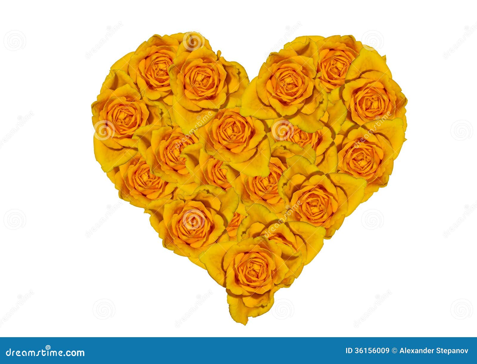 Heart from roses. stock image. Image of summer, love - 36156009