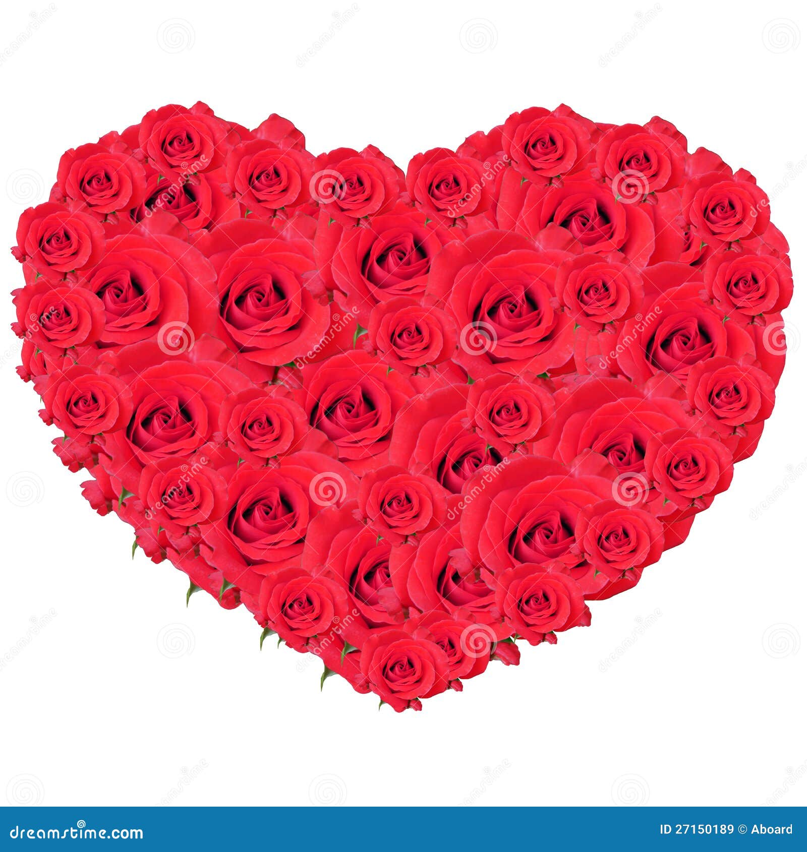 Heart of Roses,rose, Isolated on White Stock Image - Image of marriage ...