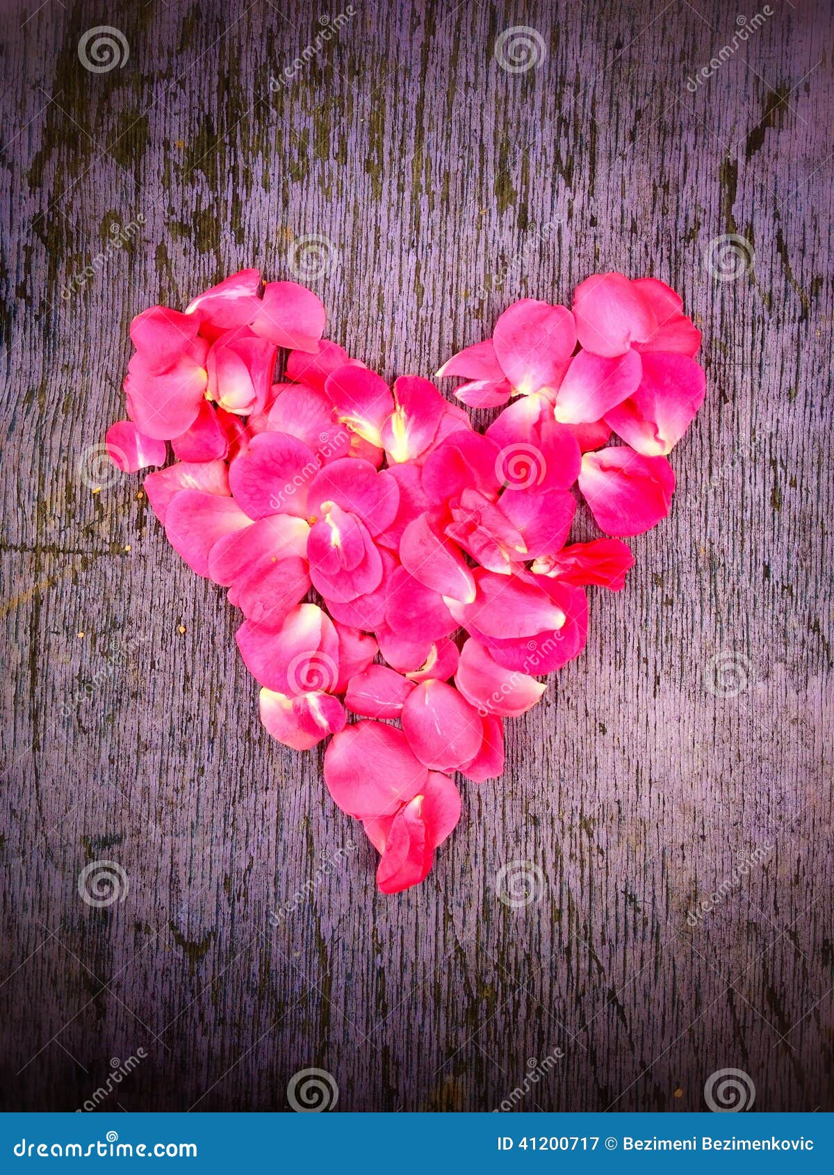 Heart of rouses petals stock image. Image of petal, season - 41200717