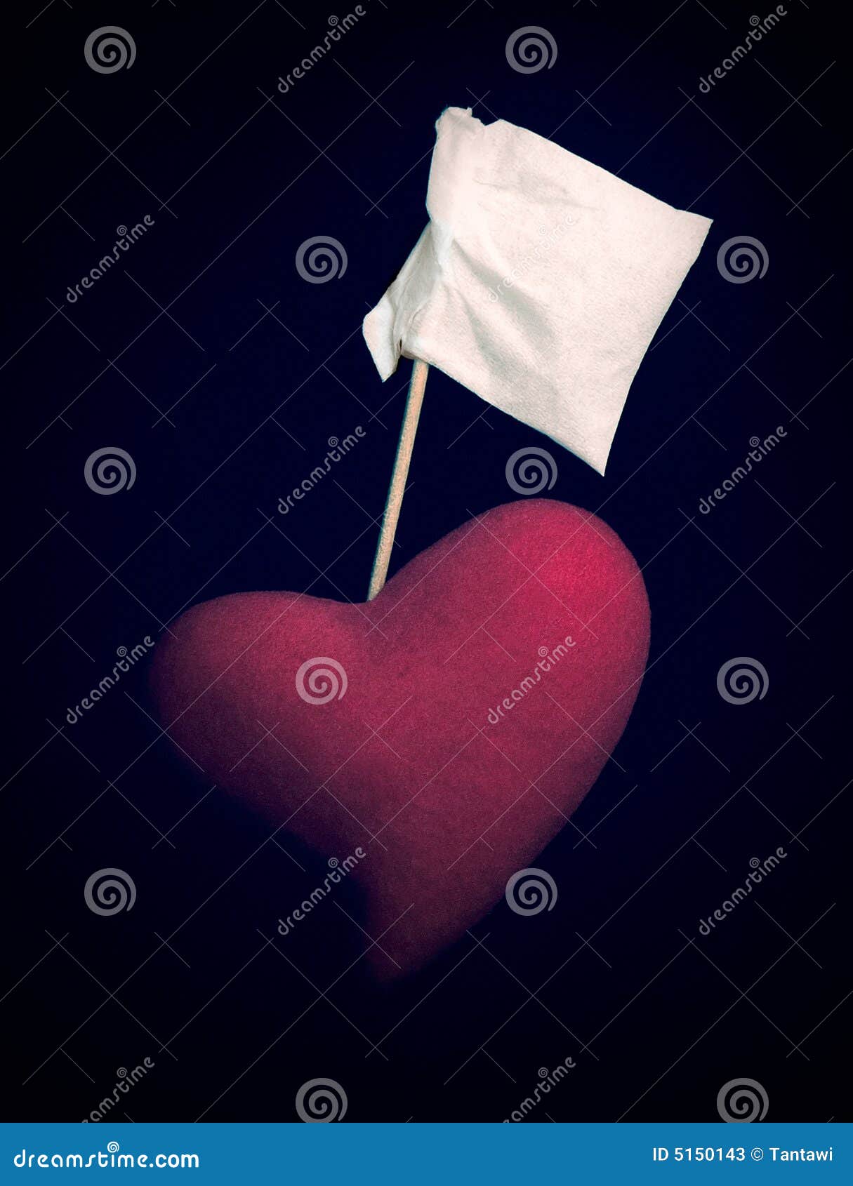 Heart s Surrender stock image. Image of white, flag, heart - 5150143