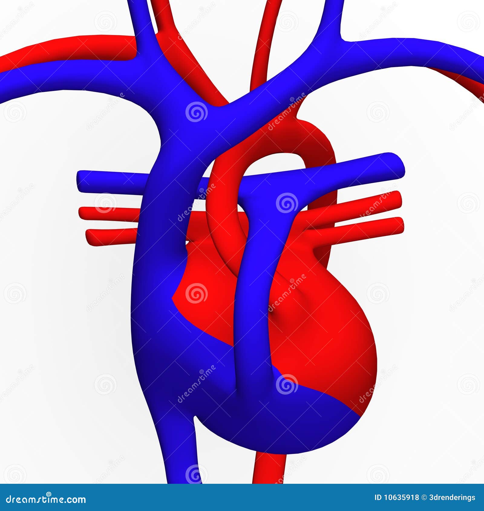 Heart scheme stock illustration. Illustration of render - 10635918