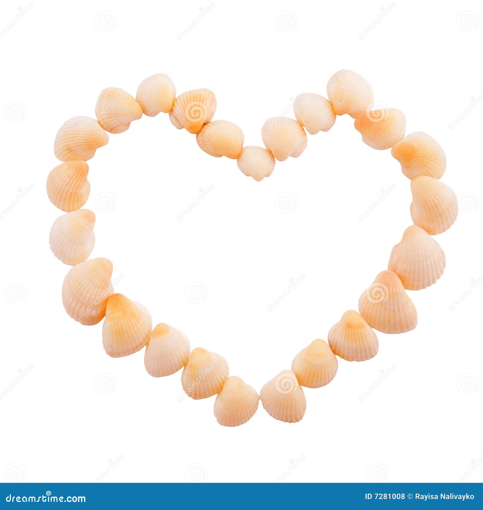 Heart seashells stock illustration. Illustration of heart - 7281008