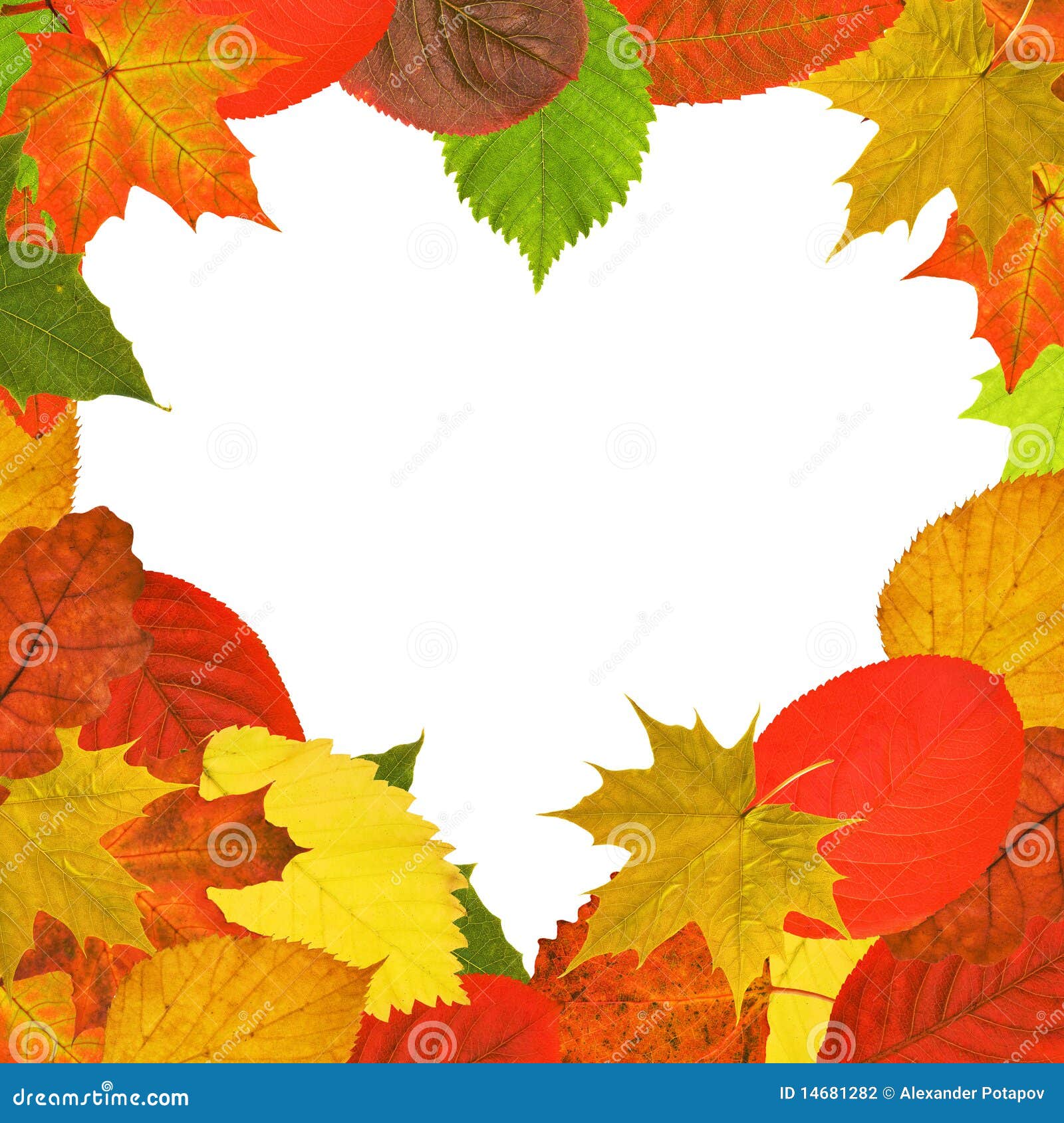 Heart Shape Bright Autumn Leaves Frame Stock Photo - Image of branch ...