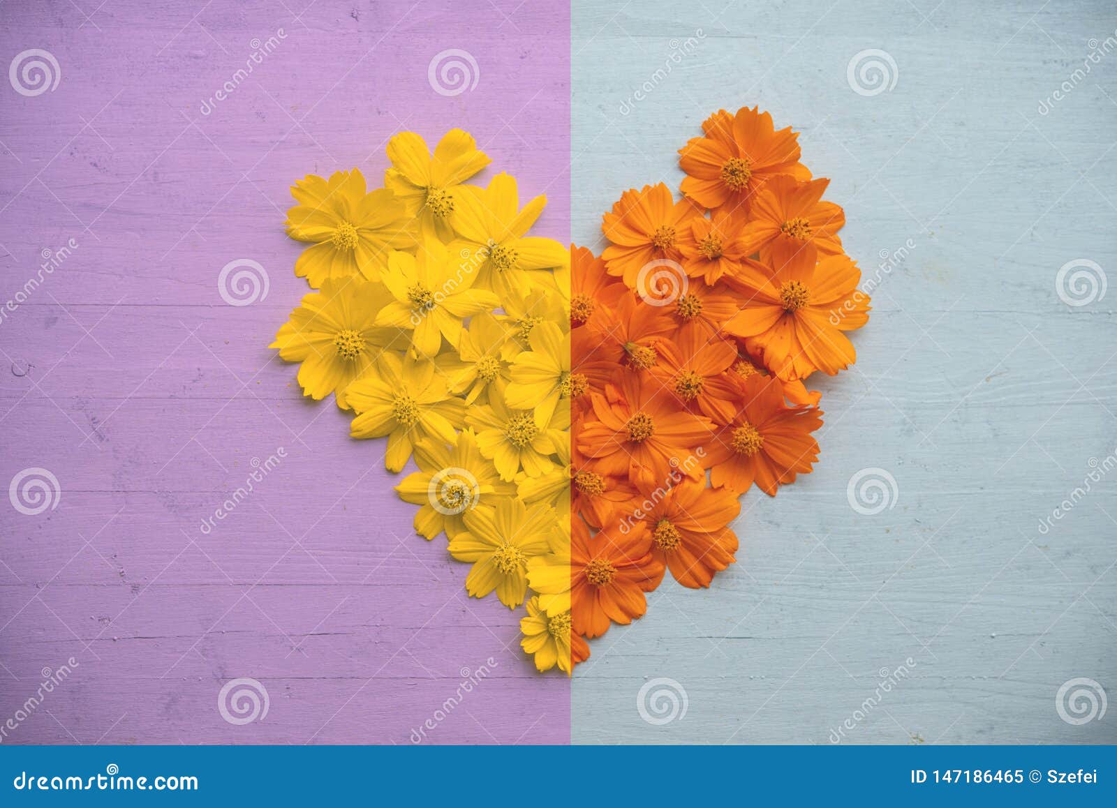 Heart shape cut in half stock image. Image of pattern - 147186465