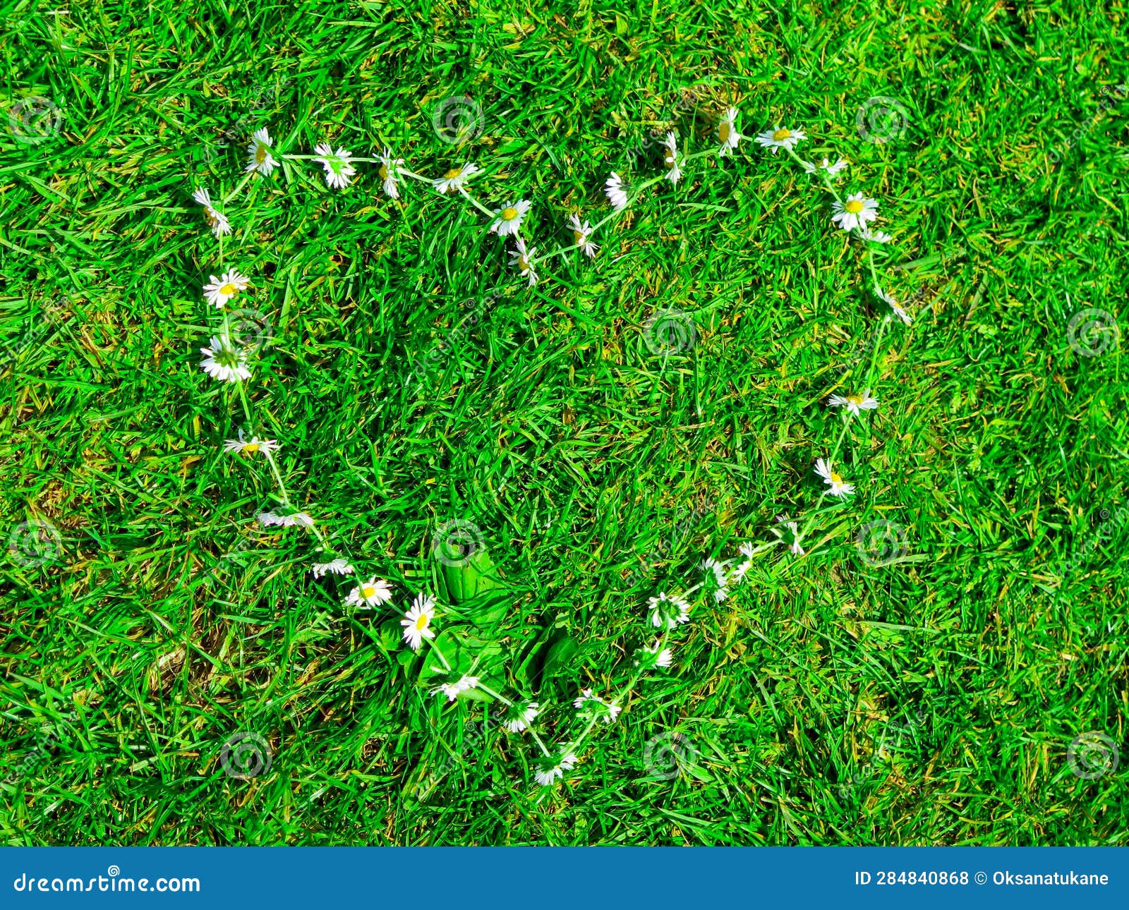 Heart Shape from Daises on the Green Grass. Stock Photo - Image of ...