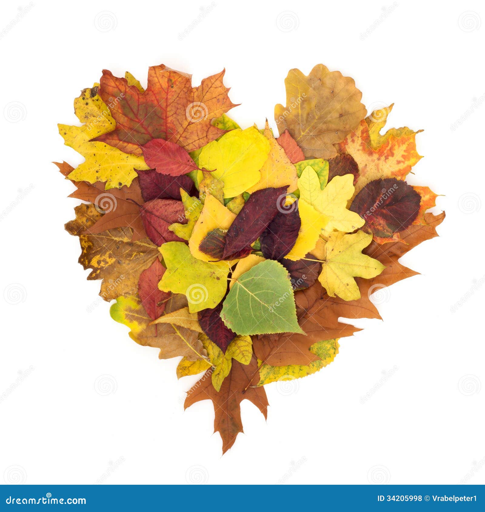 Heart Shape from Falling Leaves Stock Photo - Image of design, heart ...
