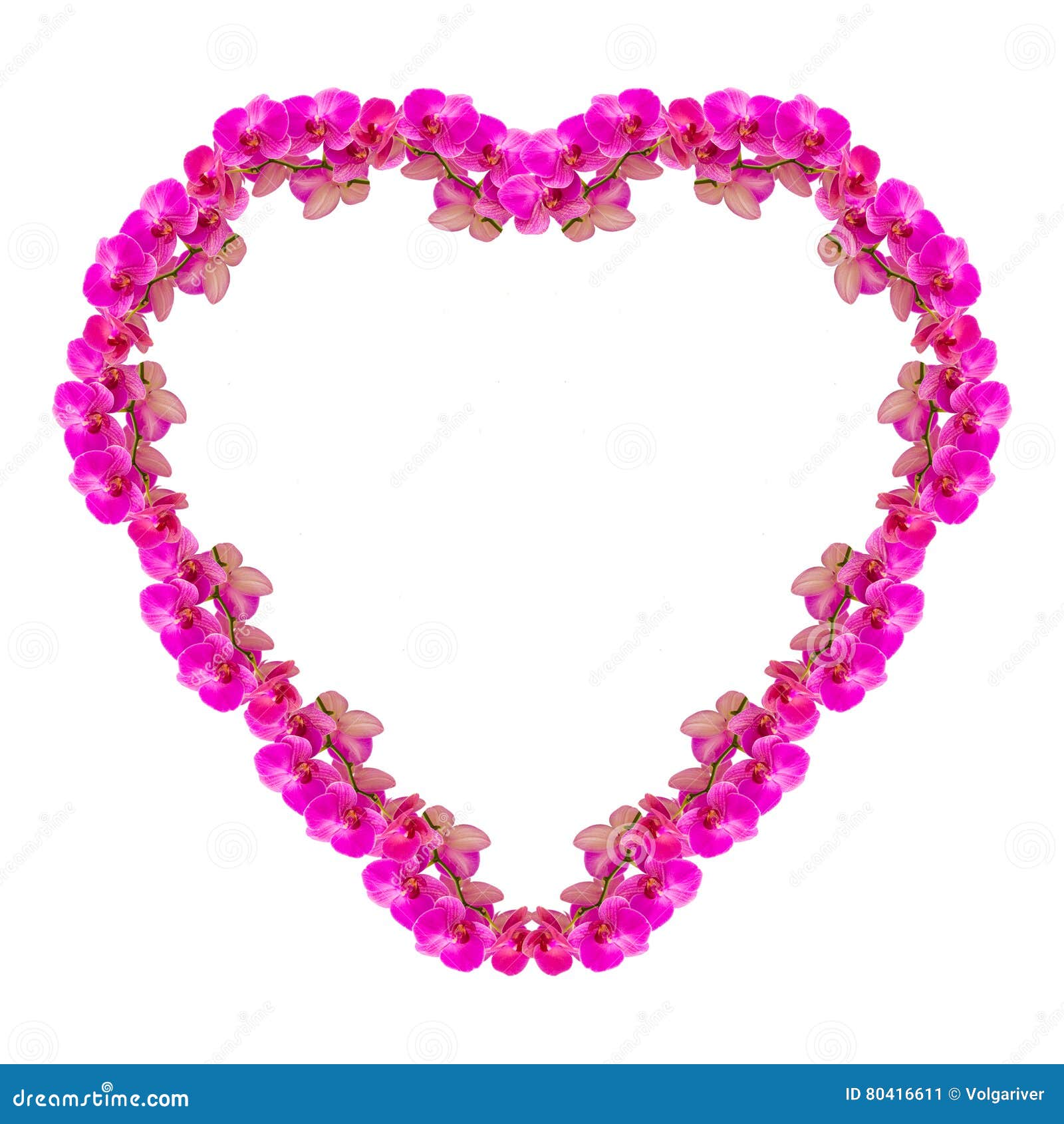 Heart Shape Frame Made from Orchid Flowers Isolated on White Stock ...