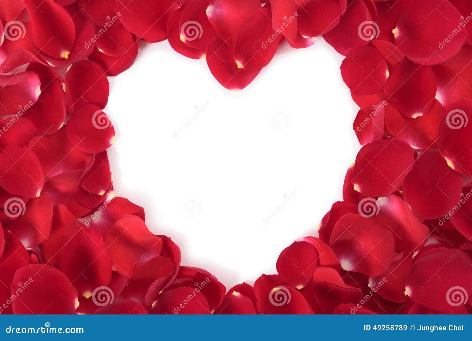 Heart Shape Frame with Red Roses Petals Stock Image - Image of ...