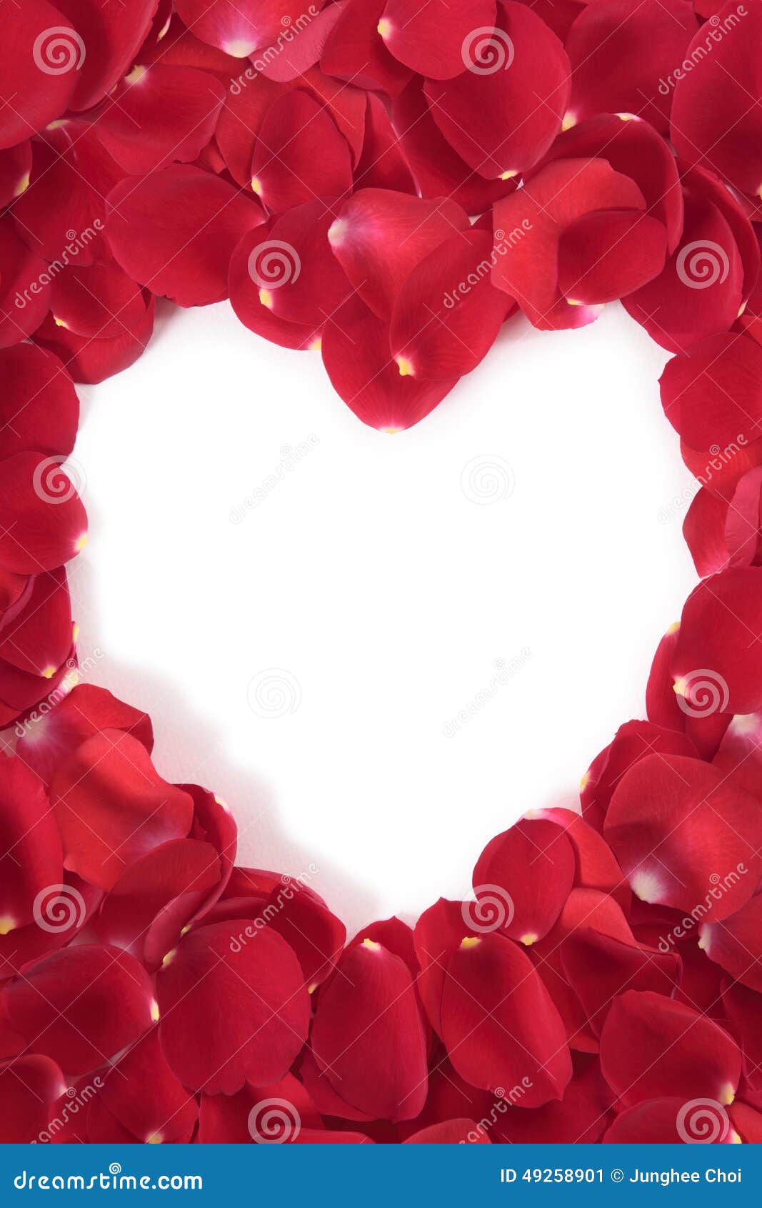 Heart Shape Frame with Red Roses Petals Stock Image - Image of ...
