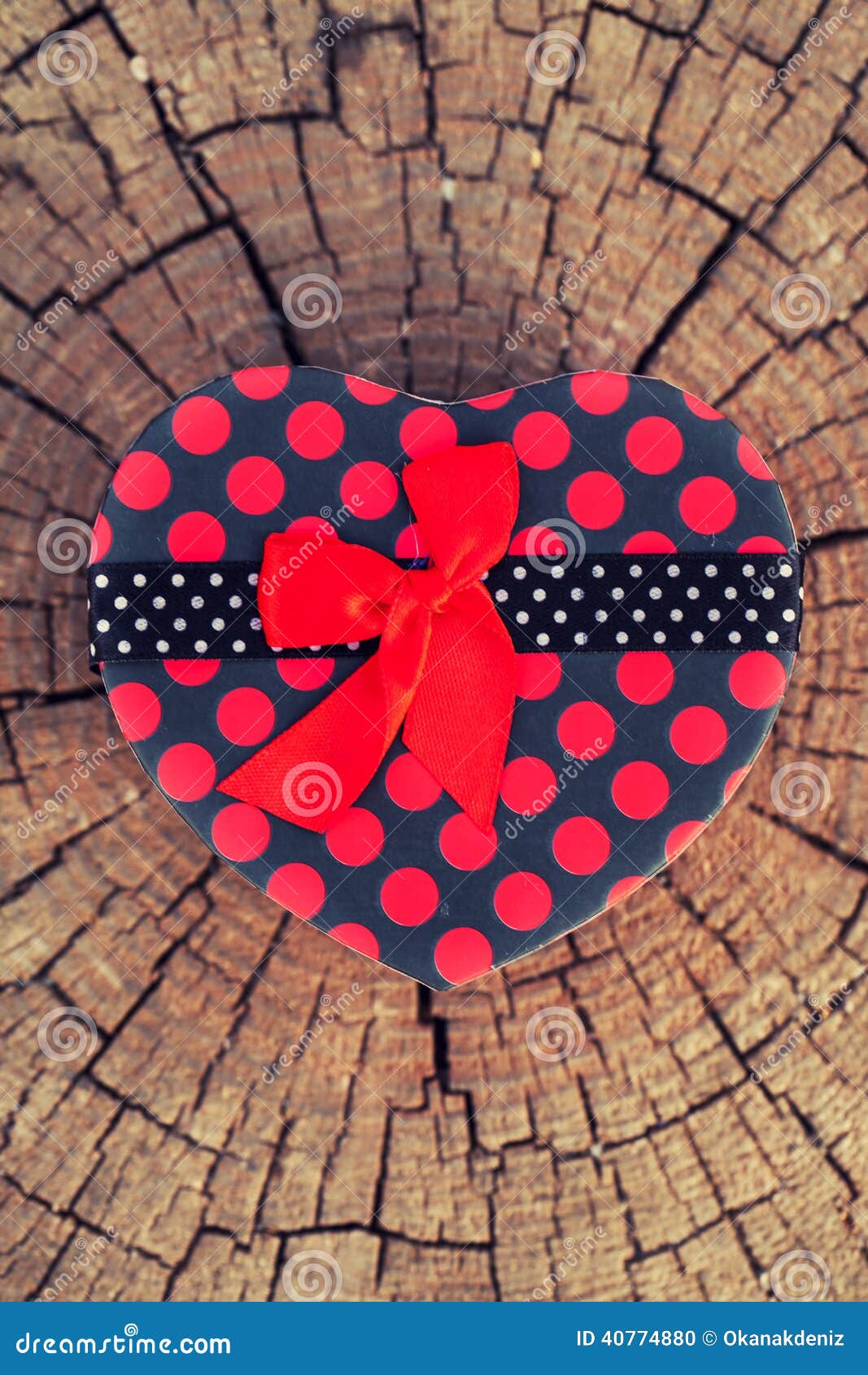 Heart Shape Gift Box on the Tree Trunk Stock Photo - Image of still ...