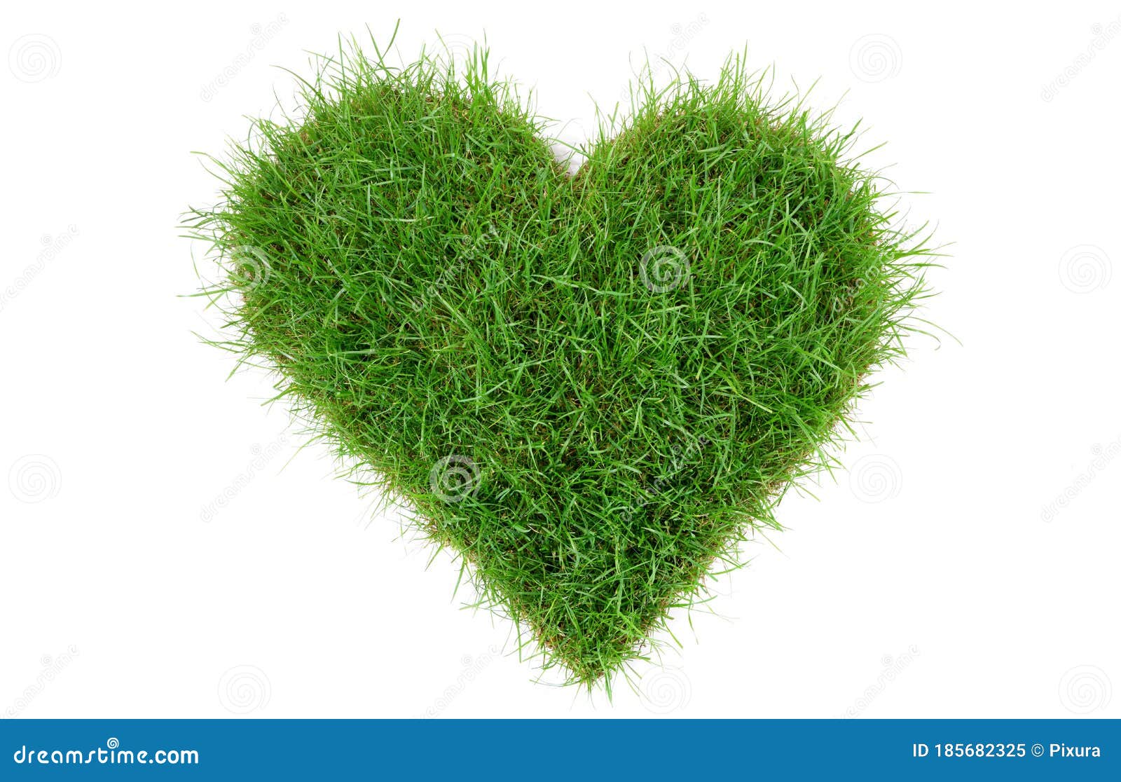 Heart Shape Grass Isolated on White Background Stock Image - Image of ...