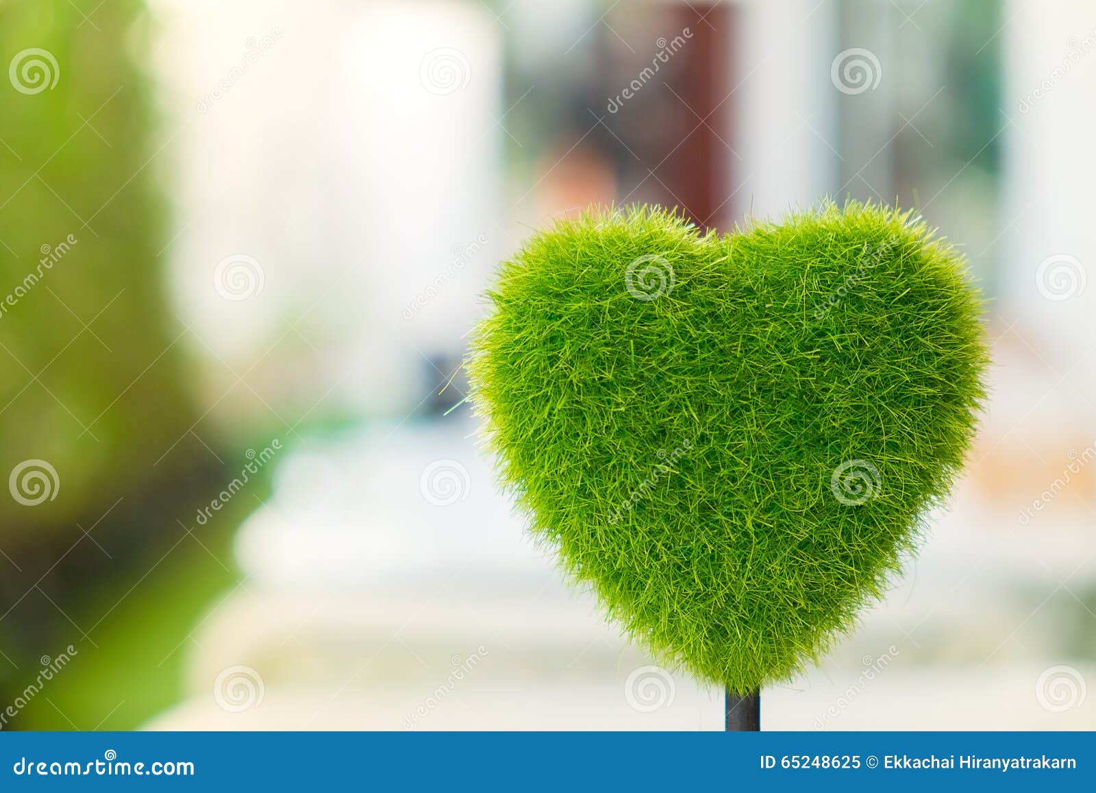 Heart shape grass stock image. Image of perfect, grass - 65248625