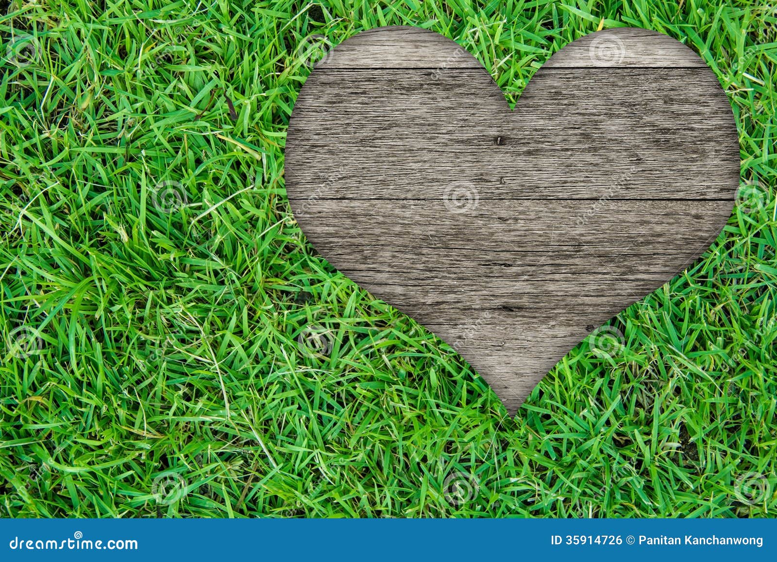 Heart shape on green grass stock photo. Image of forming - 35914726