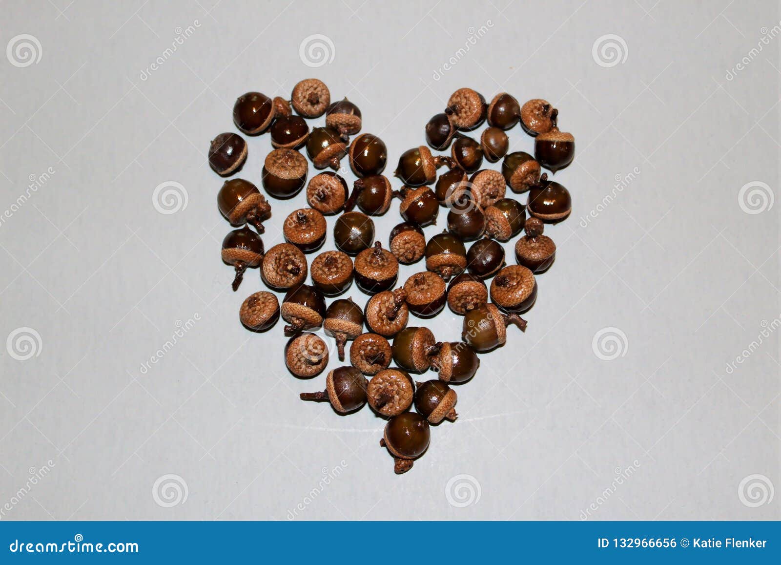 Heart shape made of acorns stock photo. Image of white - 132966656