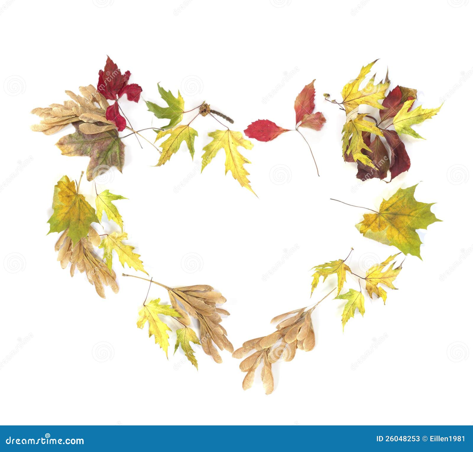 Heart Shape Made of Autumn Colorful Leaves Stock Image - Image of ...