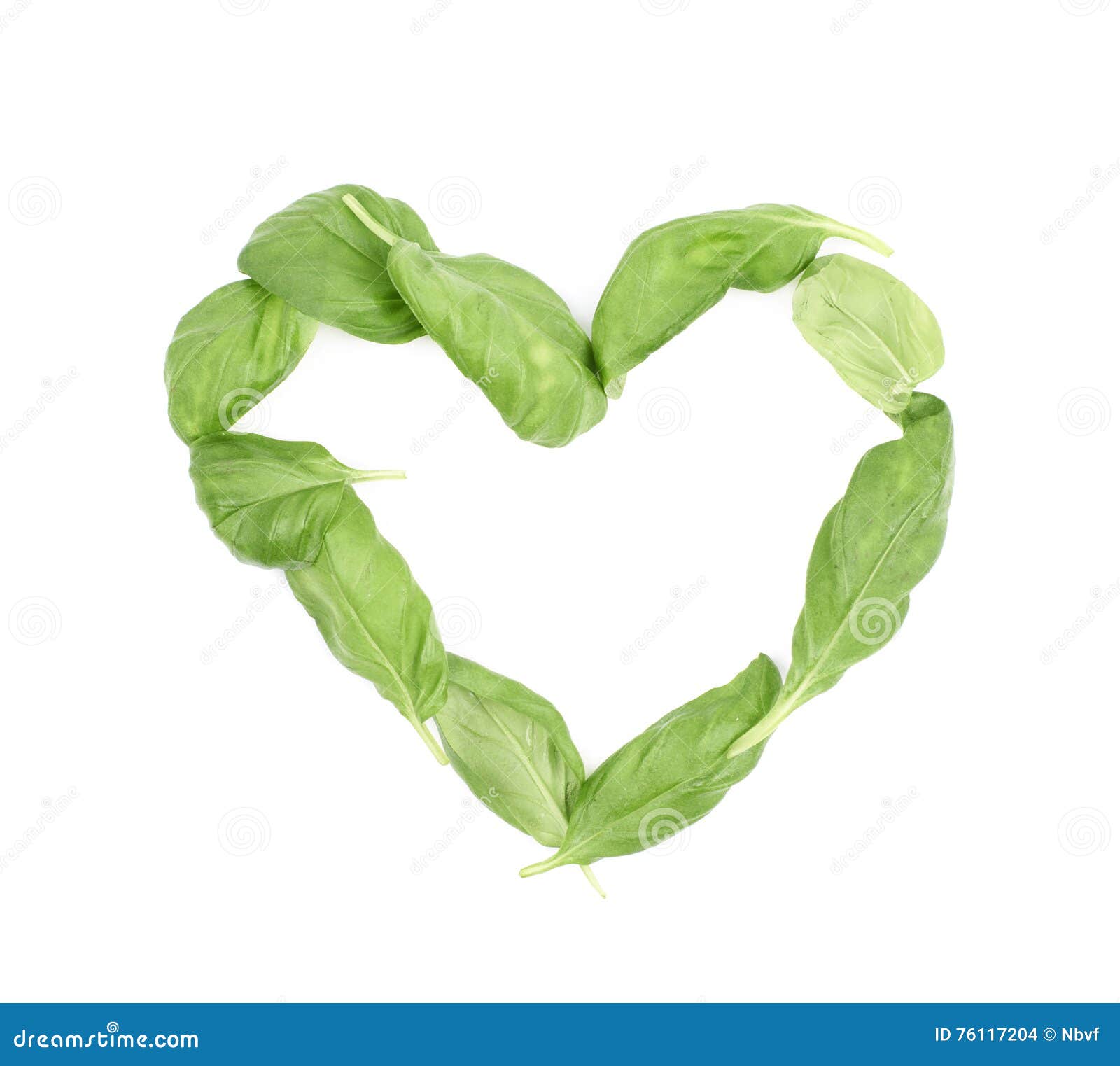 Heart Shape Made of Basil Leaves Stock Photo - Image of cooking ...