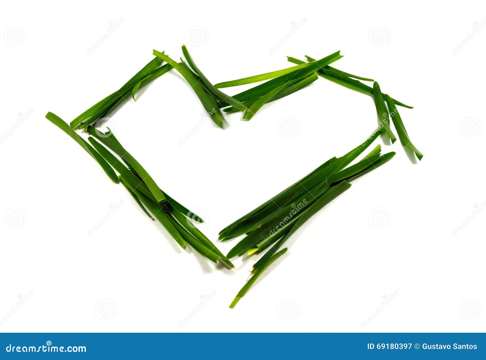 Heart Shape Made of Green Grass Stock Image - Image of heart ...