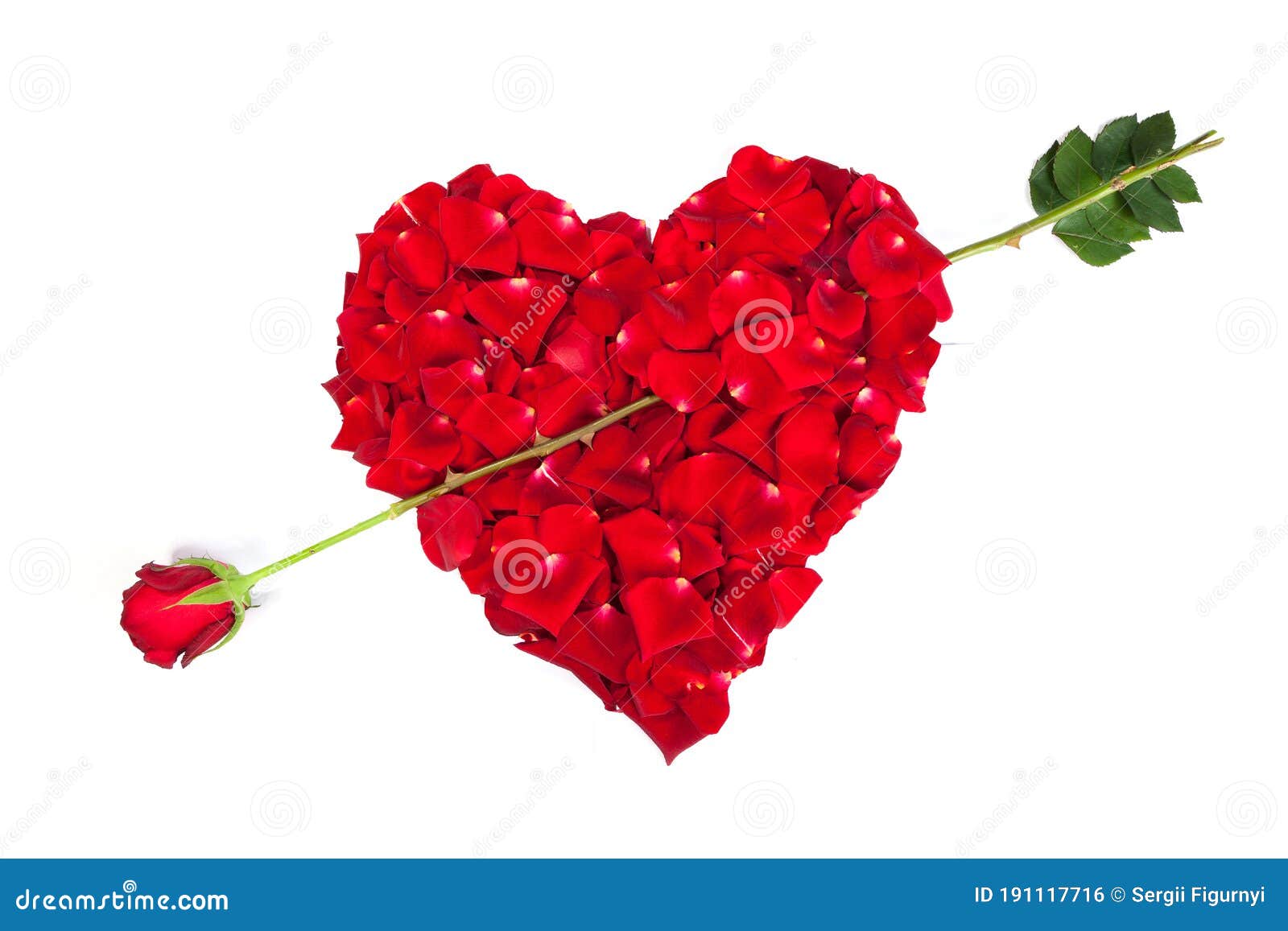 Heart Shape Made Out of Rose Stock Photo - Image of aroma, arrow: 191117716