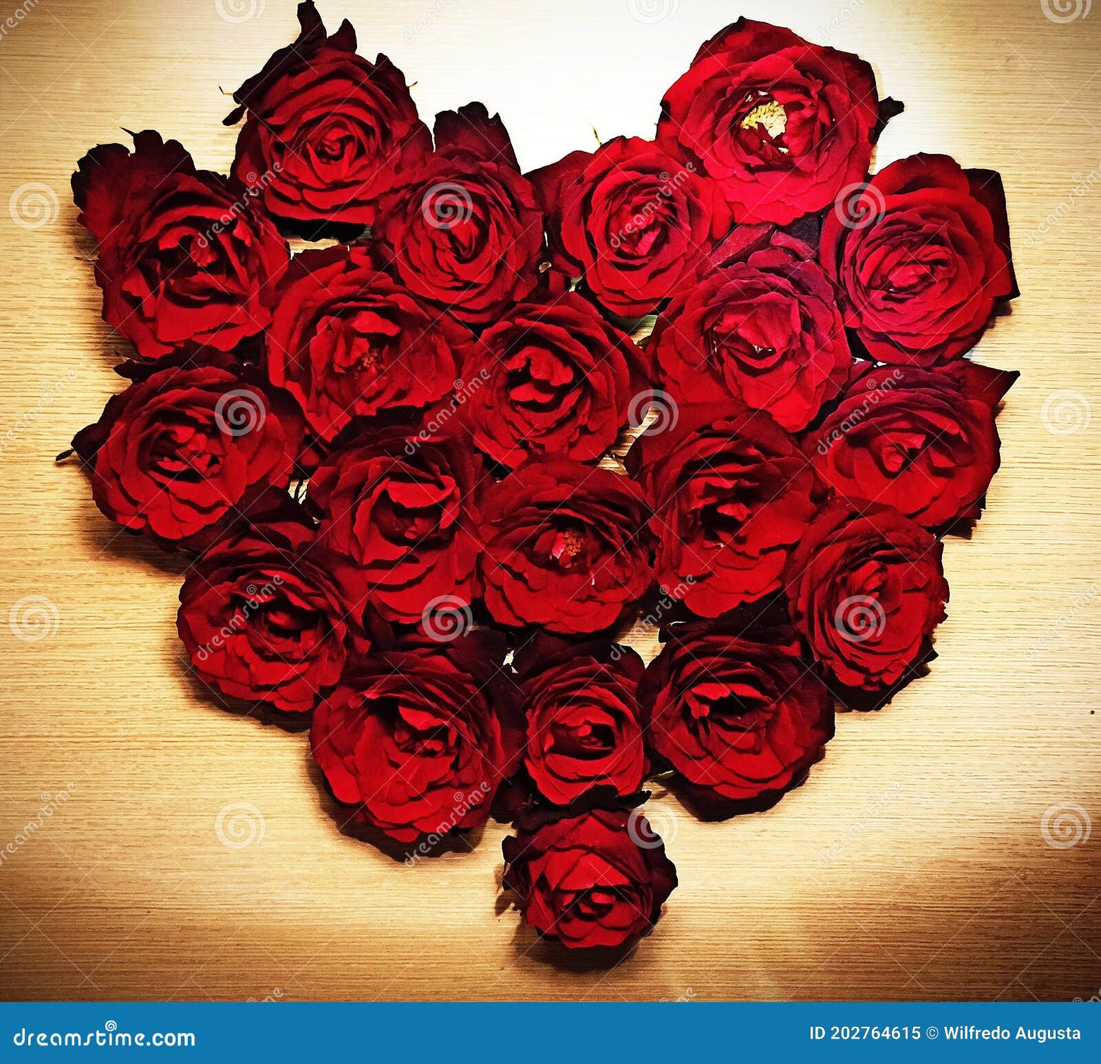 Heart Shape made of roses stock image. Image of bouquet - 202764615