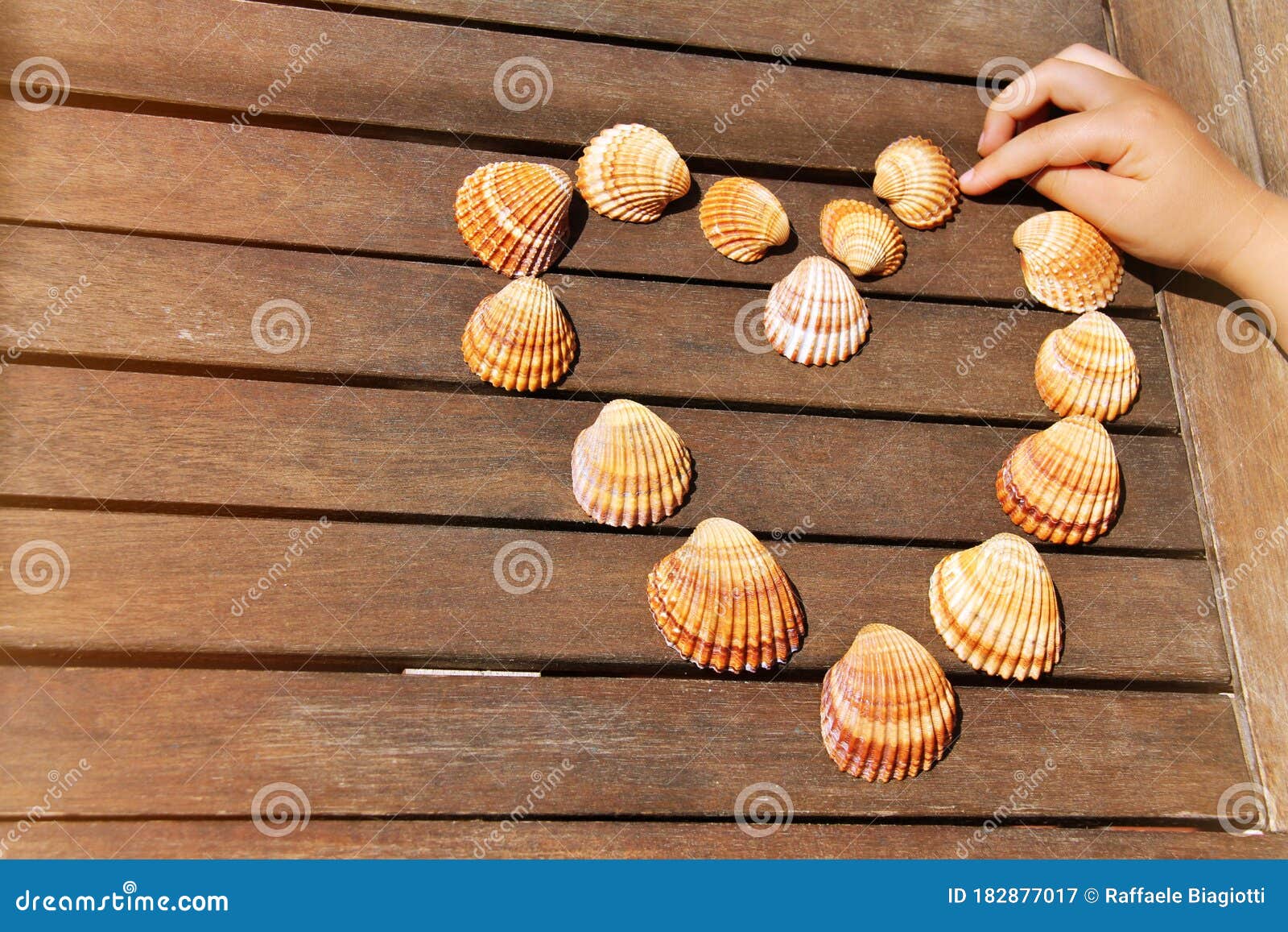 Heart Shape with Sea Shells Stock Image - Image of muted, hand: 182877017