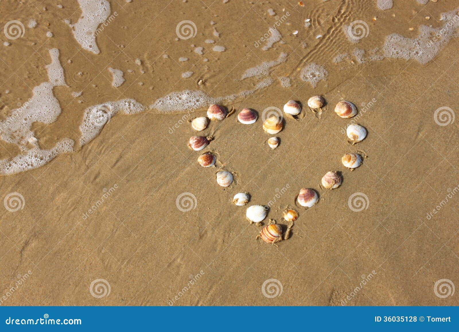 Heart Shape Made from Sea Shells on Sandy Beach. Room for Text. Stock ...