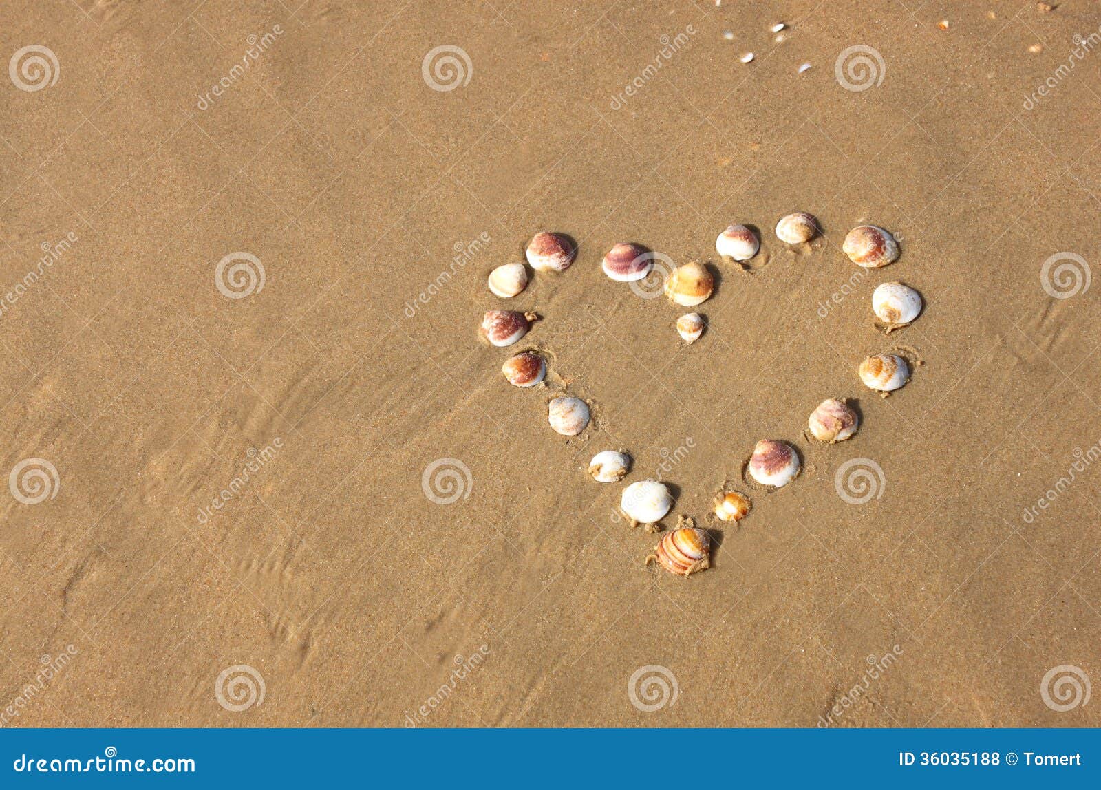 Heart Shape Made from Sea Shells on Sandy Beach. Room for Text. Stock ...