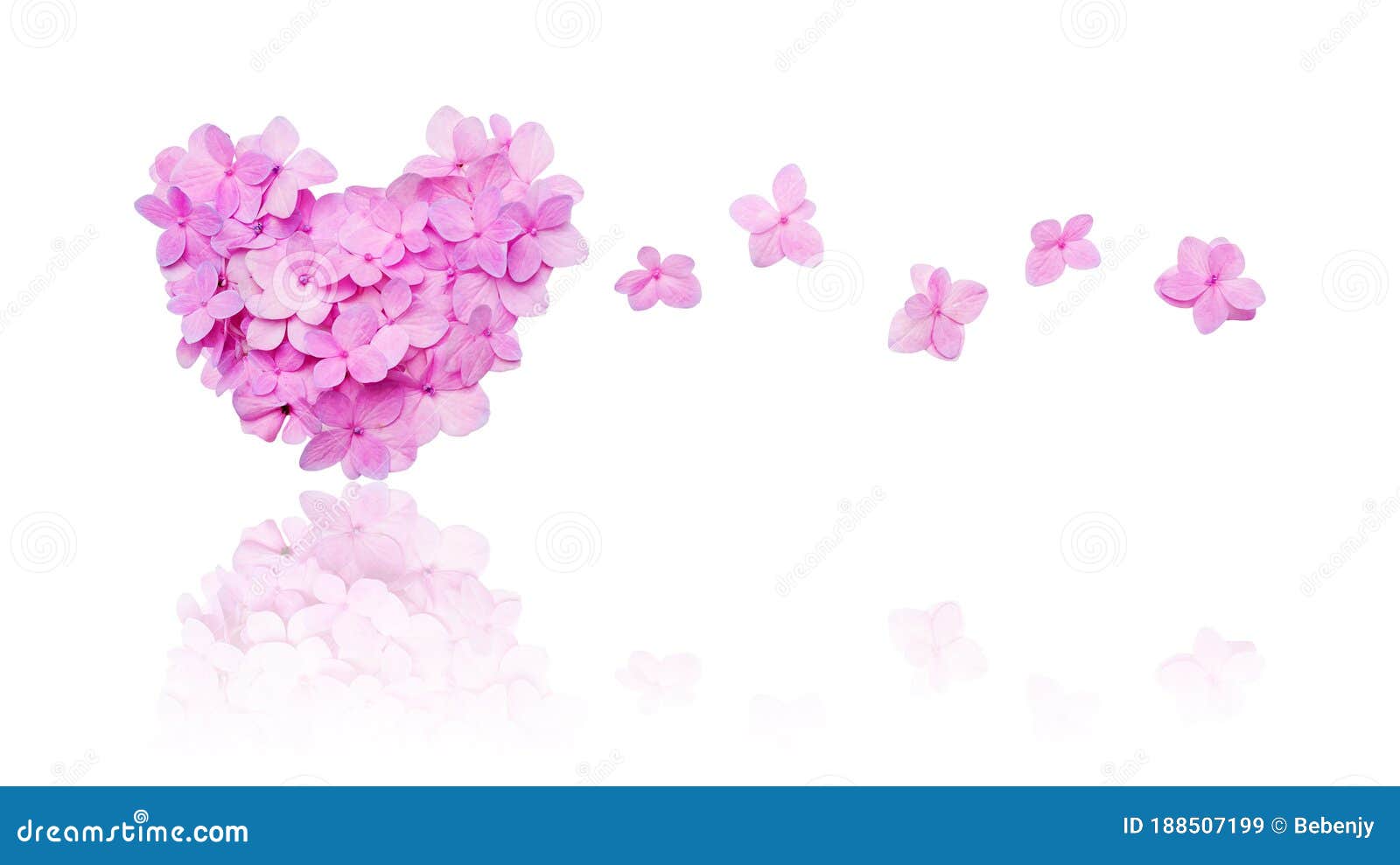 A Heart Shape of Pink Hydrangea Flower on a White Background Stock ...