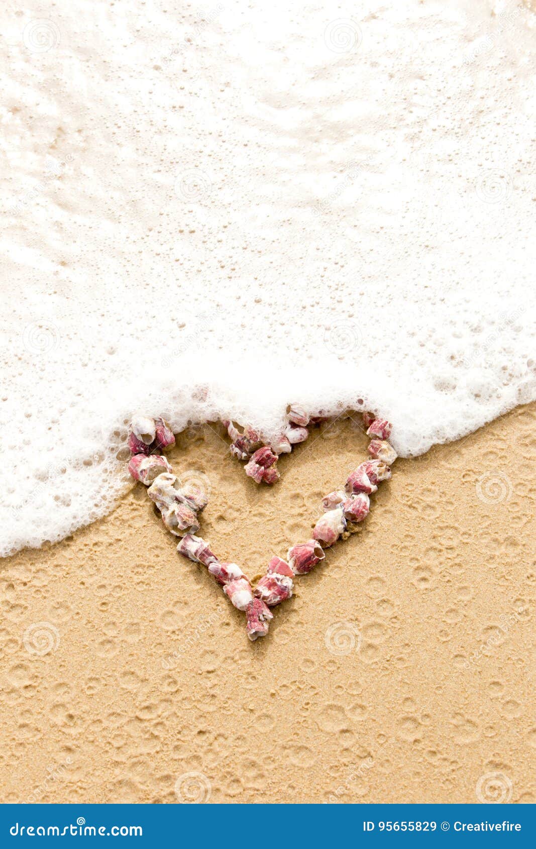 Heart Shape in Pink Sea Shells on Beach Stock Image - Image of water ...