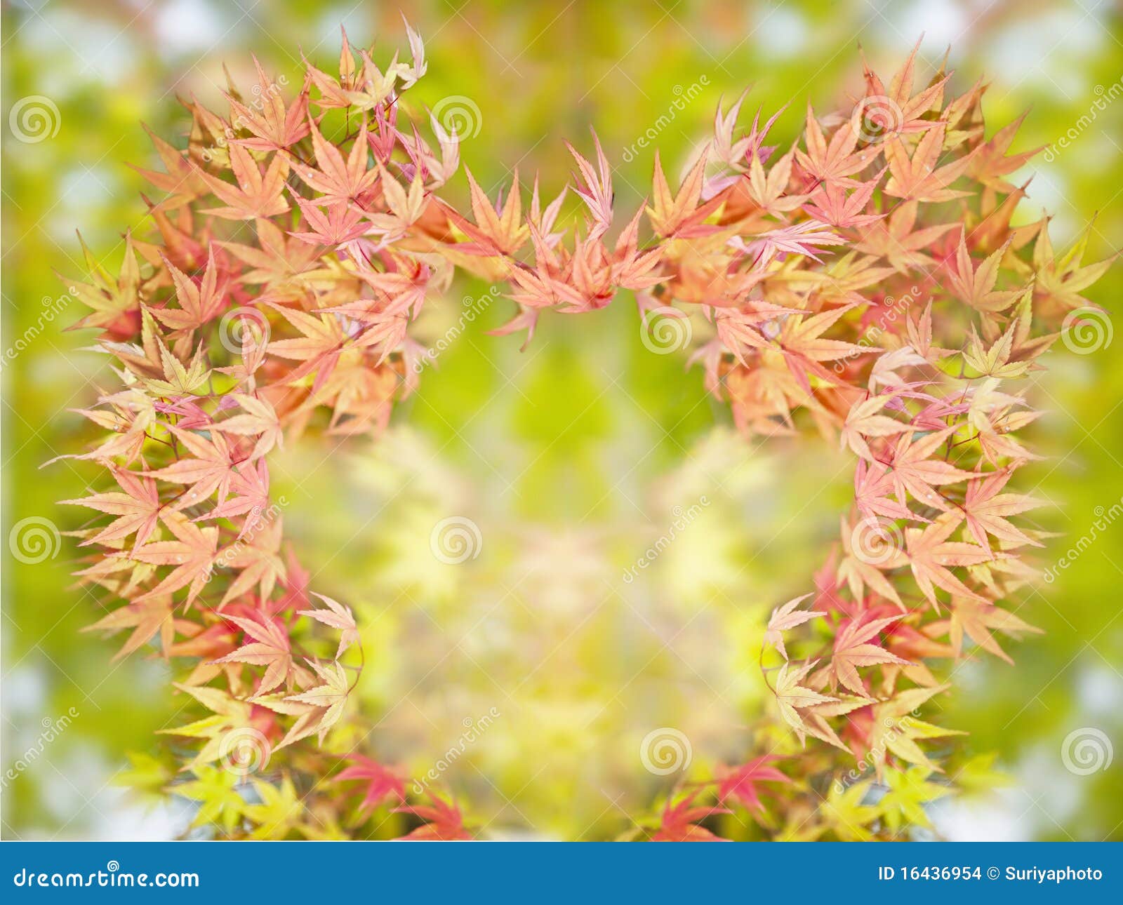 Heart Shape Red Maples Stock Photos - Free & Royalty-Free Stock Photos ...