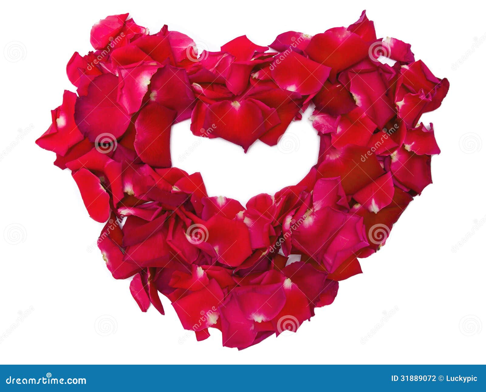 Heart Shape of Red Rose Petals Isolated Stock Photo - Image of nature ...