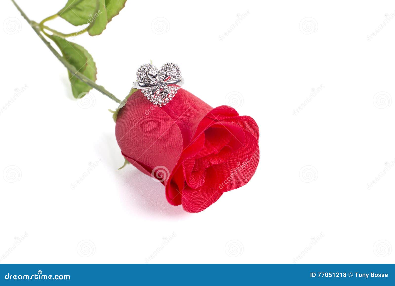 Heart Shape Ring on a Red Rose Stock Photo - Image of rose, occasion ...