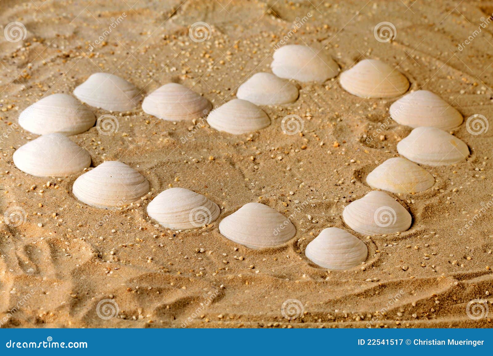 Heart Shape from Sea Shells Stock Image - Image of romantic, proof ...