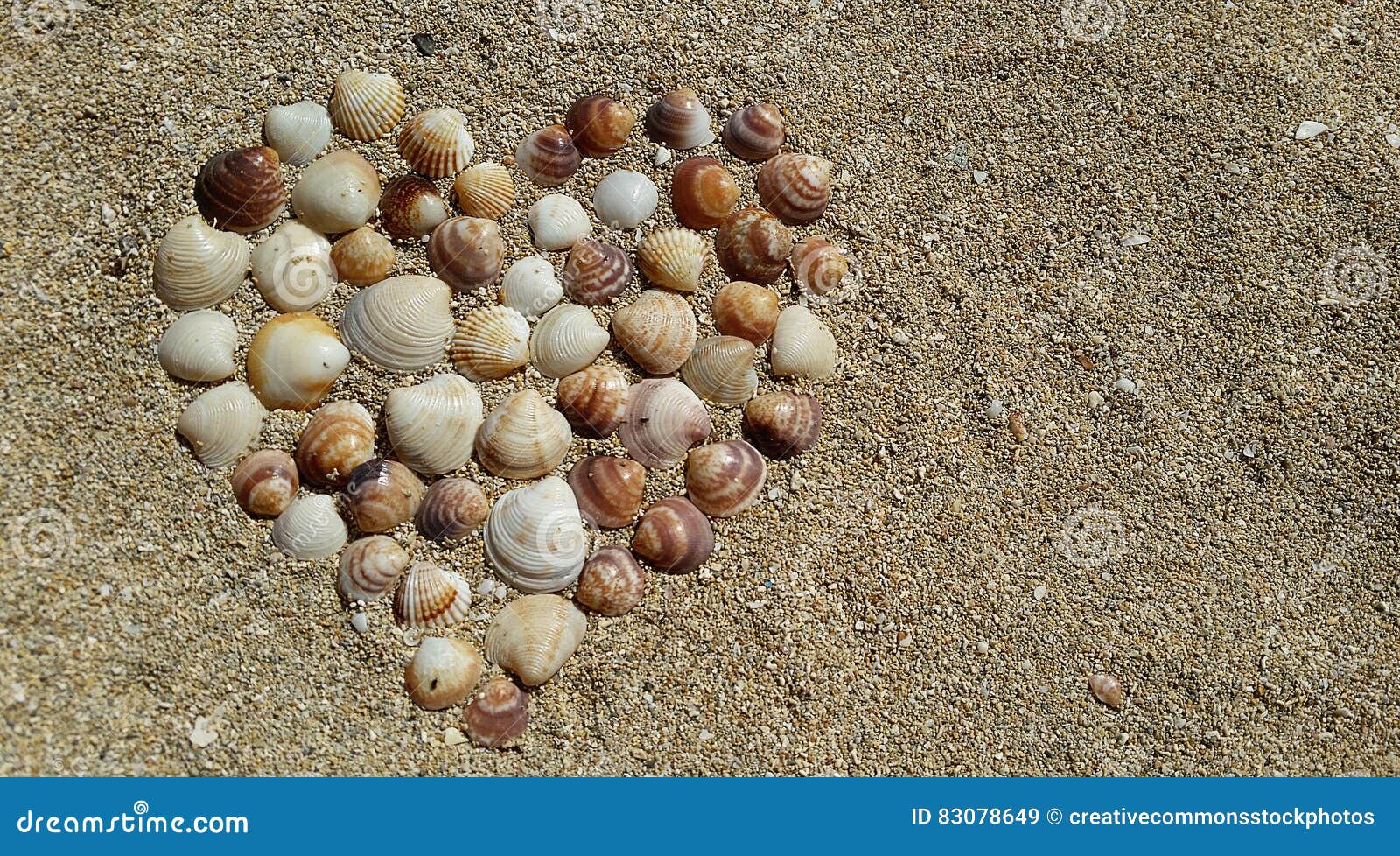 Heart Shape Sea Shells On Brown Beach Sand Picture. Image: 83078649