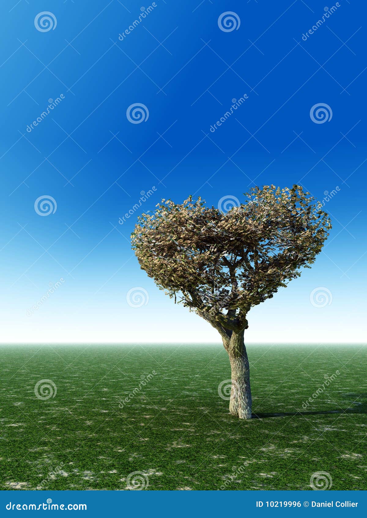Heart Shape Tree stock illustration. Illustration of outdoors - 10219996