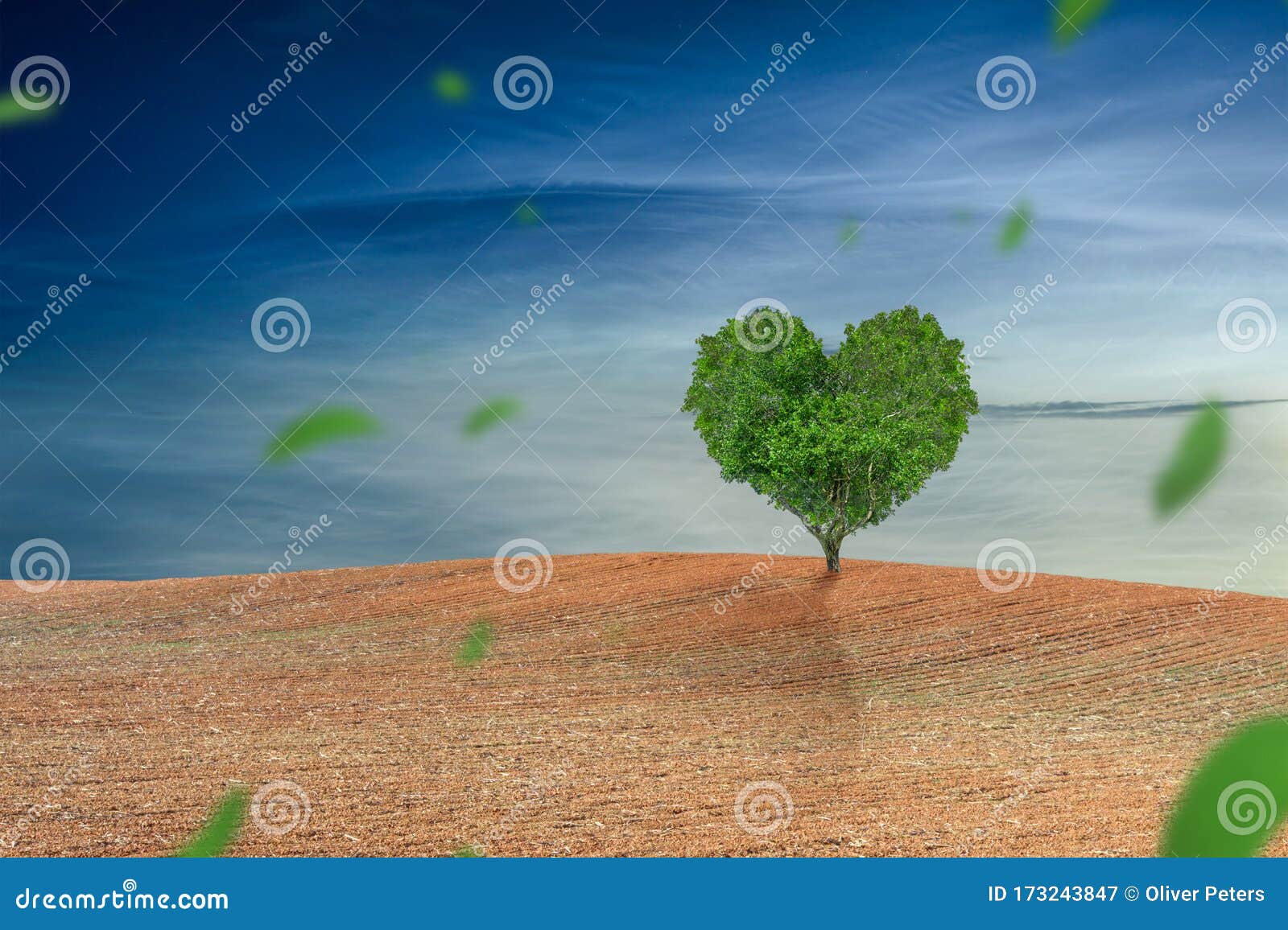 Heart Shape Tree on Grass Field Stock Image - Image of field, heart ...