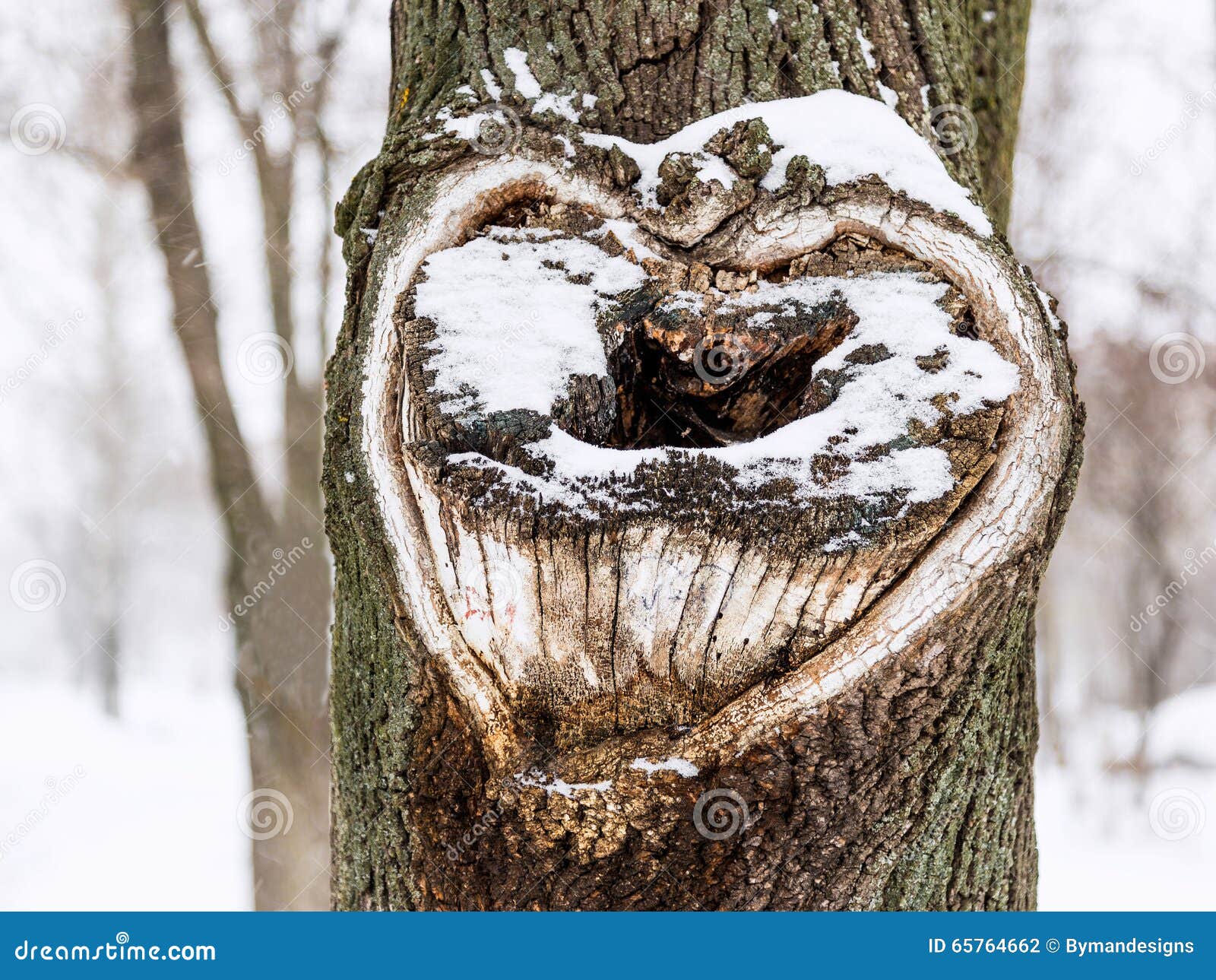 Heart Shape on Tree.Heart on Snow Tree Stock Photo - Image of natural ...