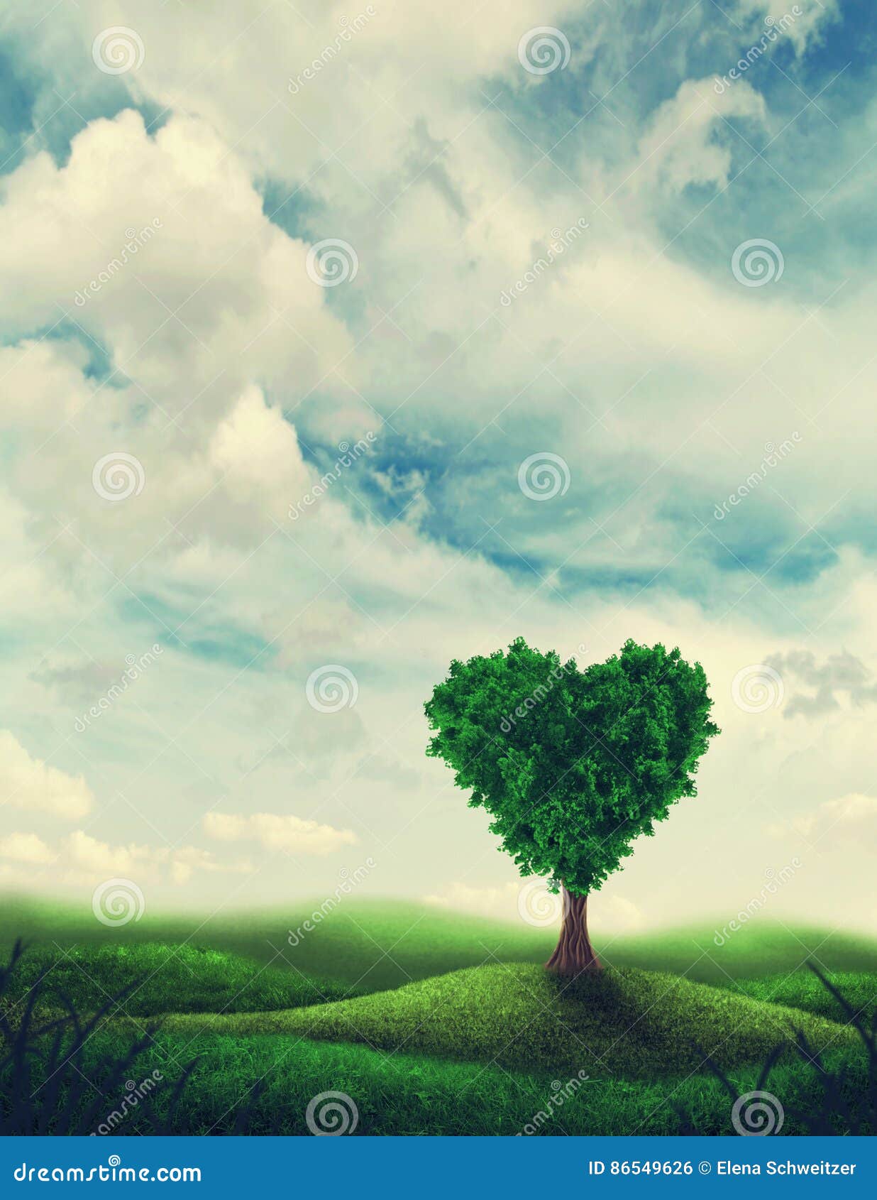 Heart shape tree stock photo. Image of landscape, vertical - 86549626