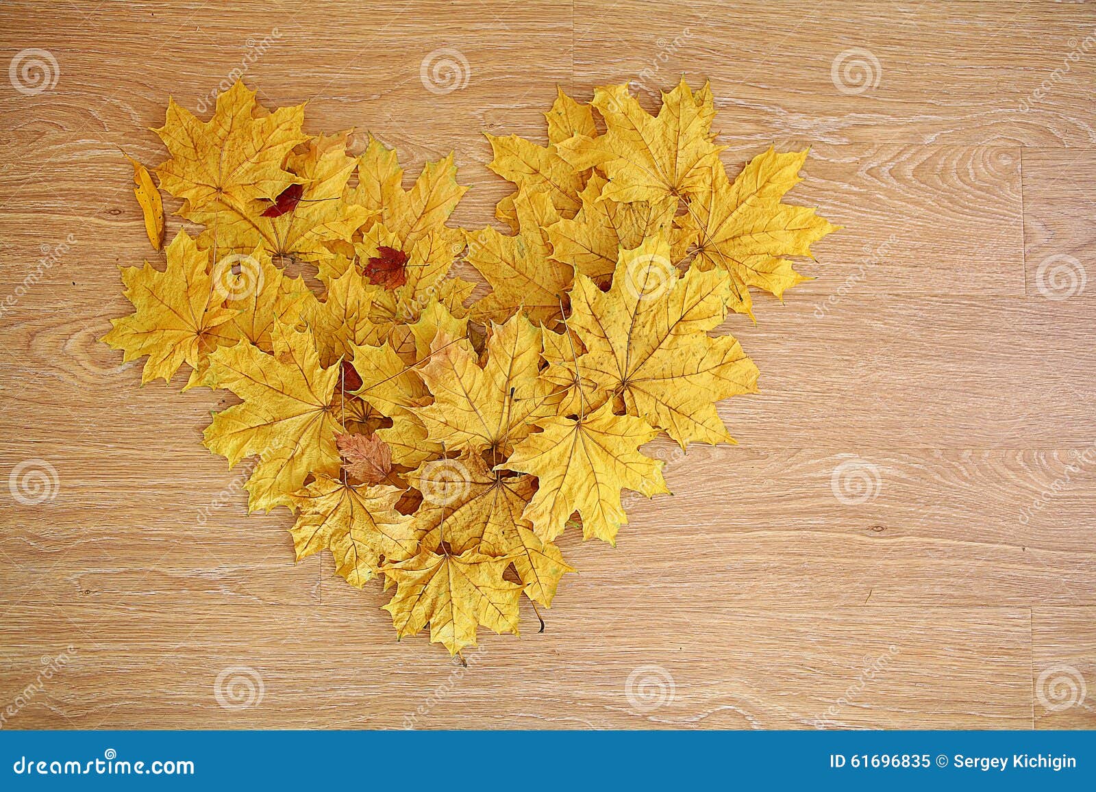 Heart Shaped from Autumn Leaves Stock Image - Image of golden ...
