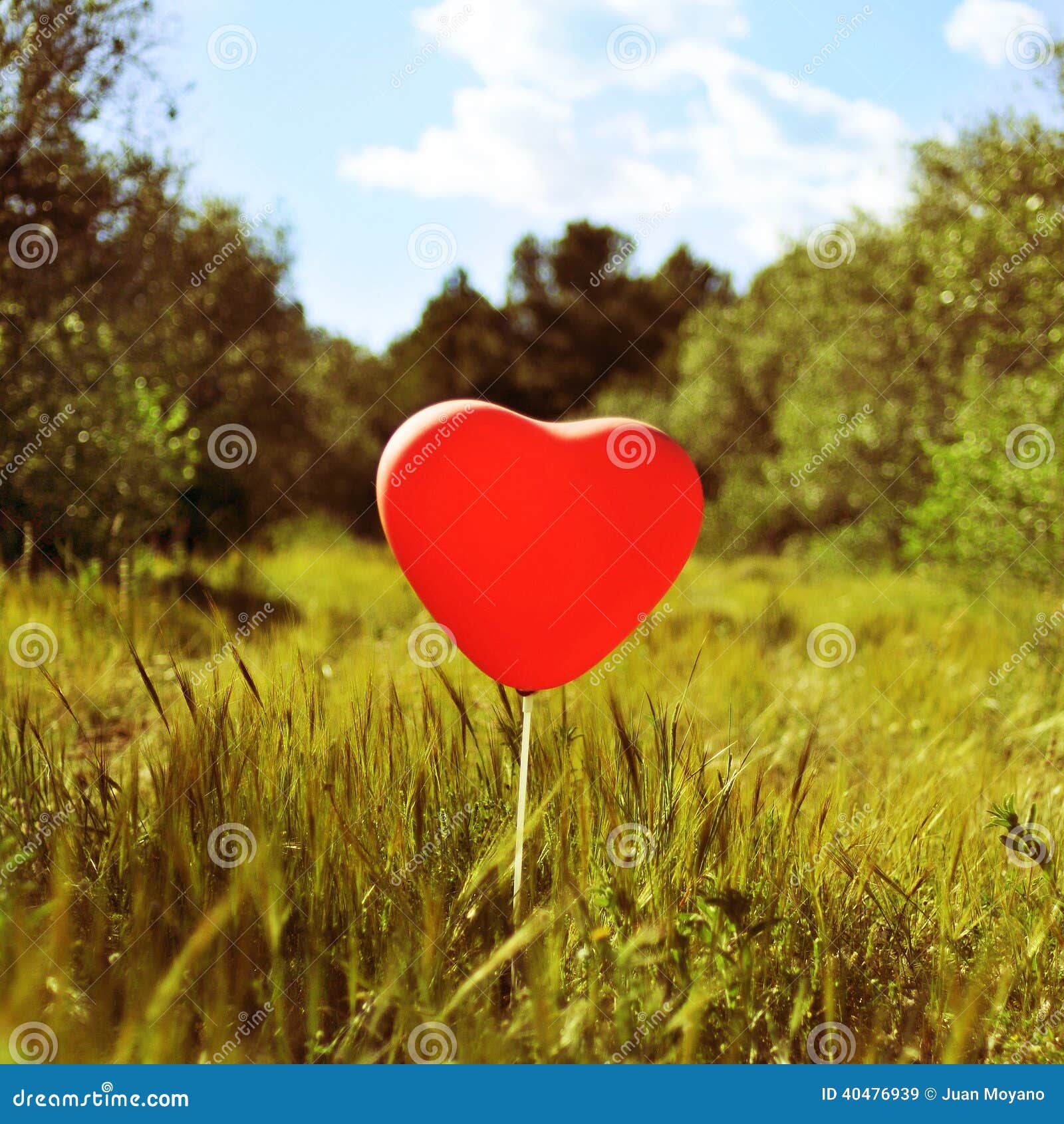 Country Heart Images