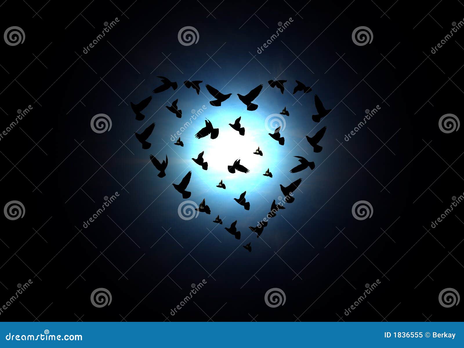 Heart shaped birds stock illustration. Illustration of blue - 1836555