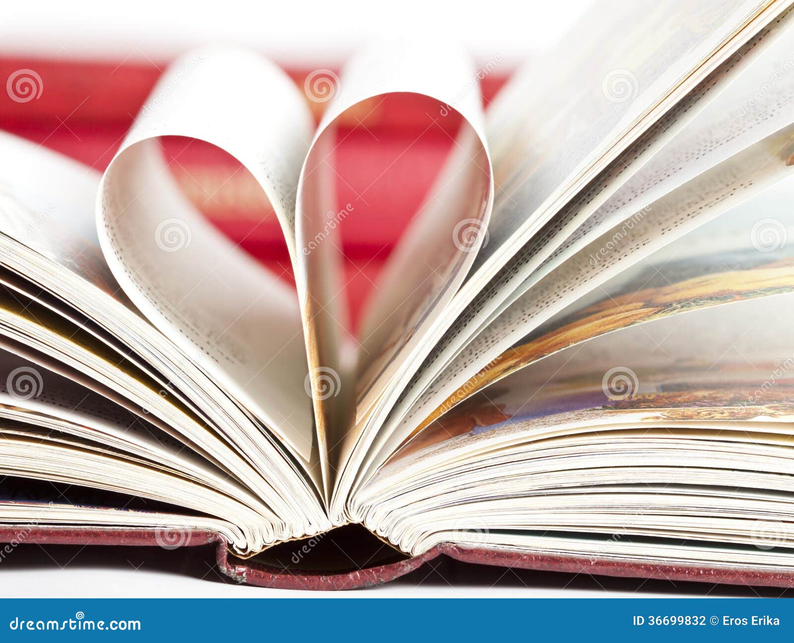 Heart shaped book pages stock photo. Image of education - 36699832