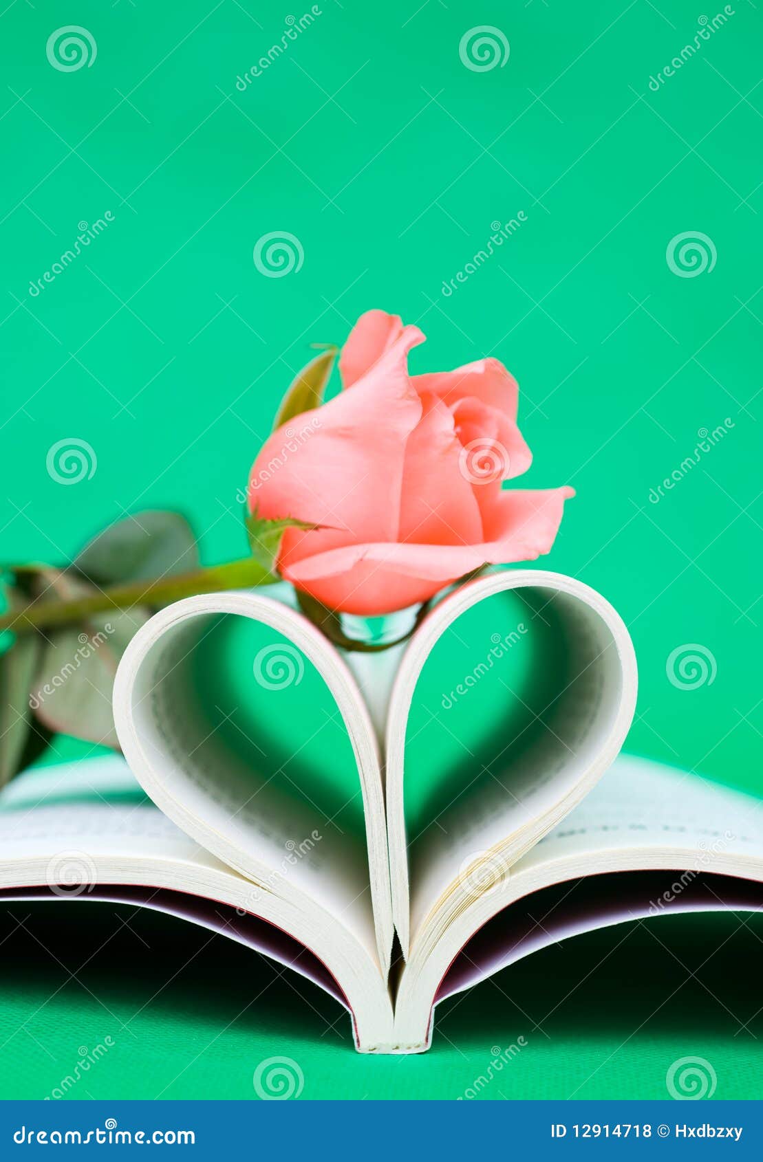 Heart shaped book and rose stock photo. Image of author - 12914718