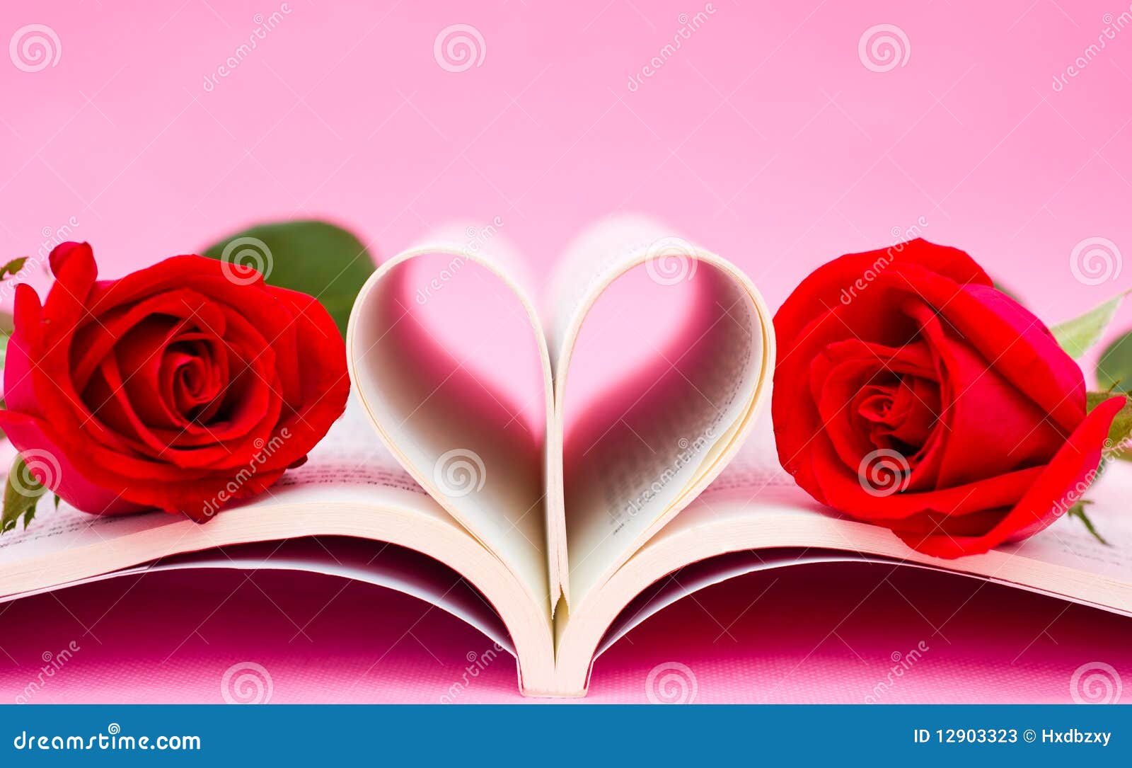 Heart Shaped Book and Roses Stock Image - Image of flirt, colorful ...
