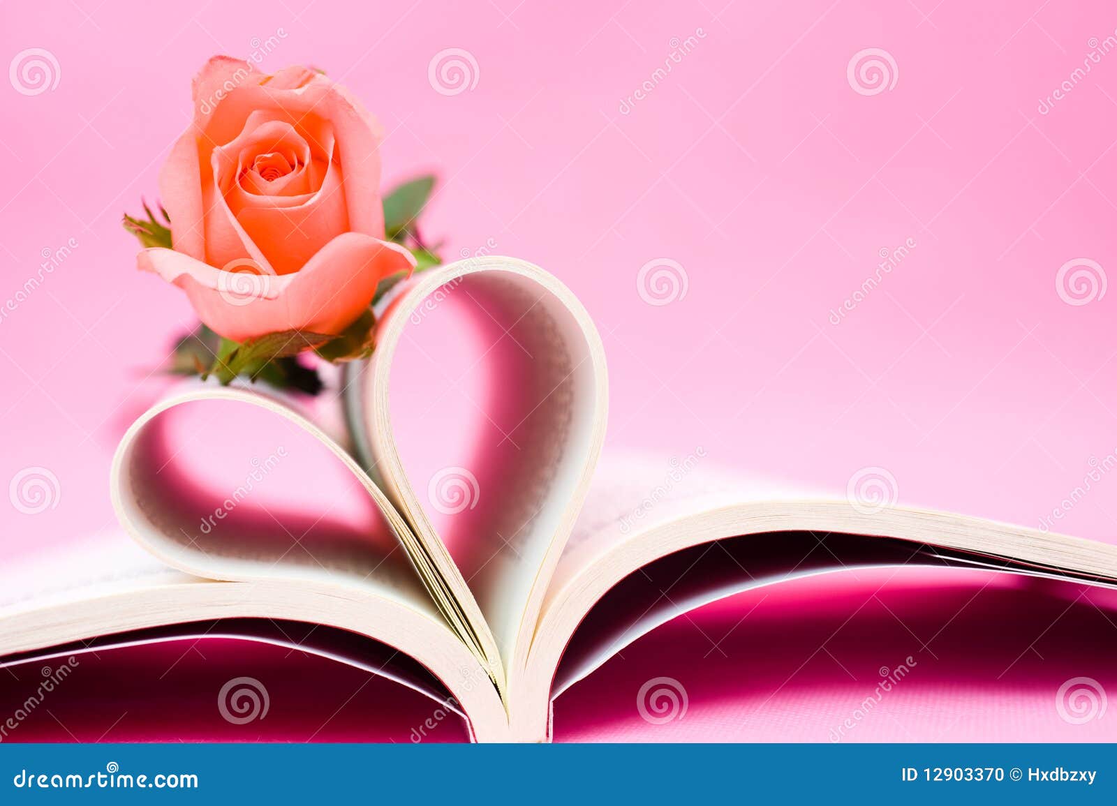 Heart Shaped Book and Roses Stock Photo - Image of author, book: 12903370