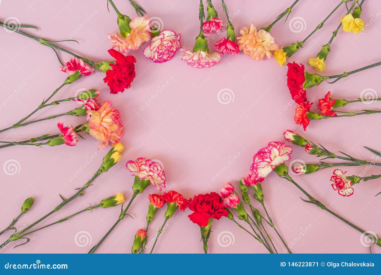 Heart Shaped Carnation Flowers Frame Stock Image - Image of mockup ...
