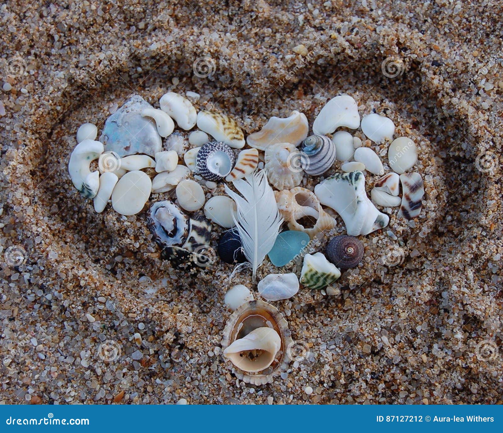 Heart Shaped Collection of Shells. Stock Photo - Image of collection ...